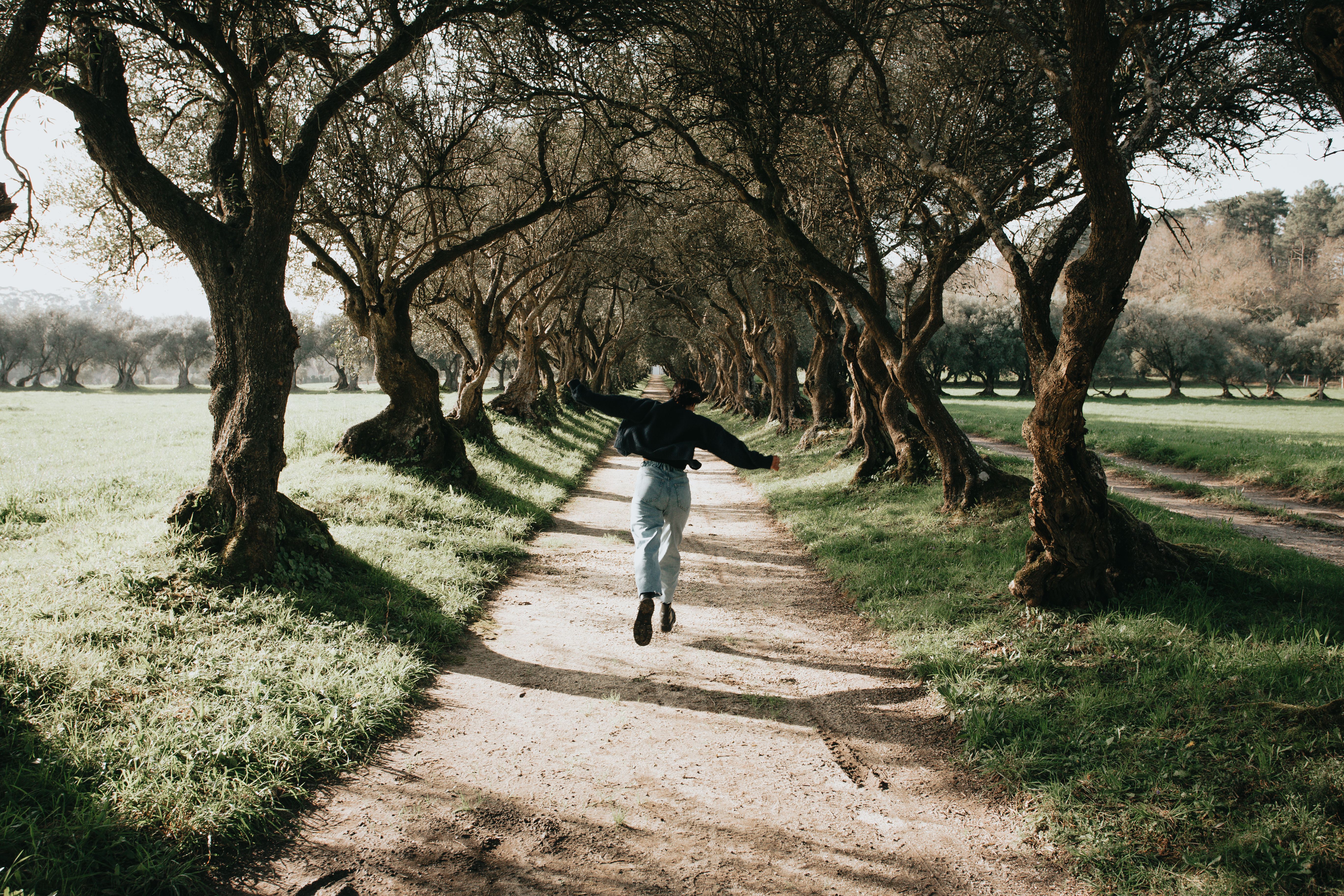 Person running on a Path between Trees · Free Stock Photo