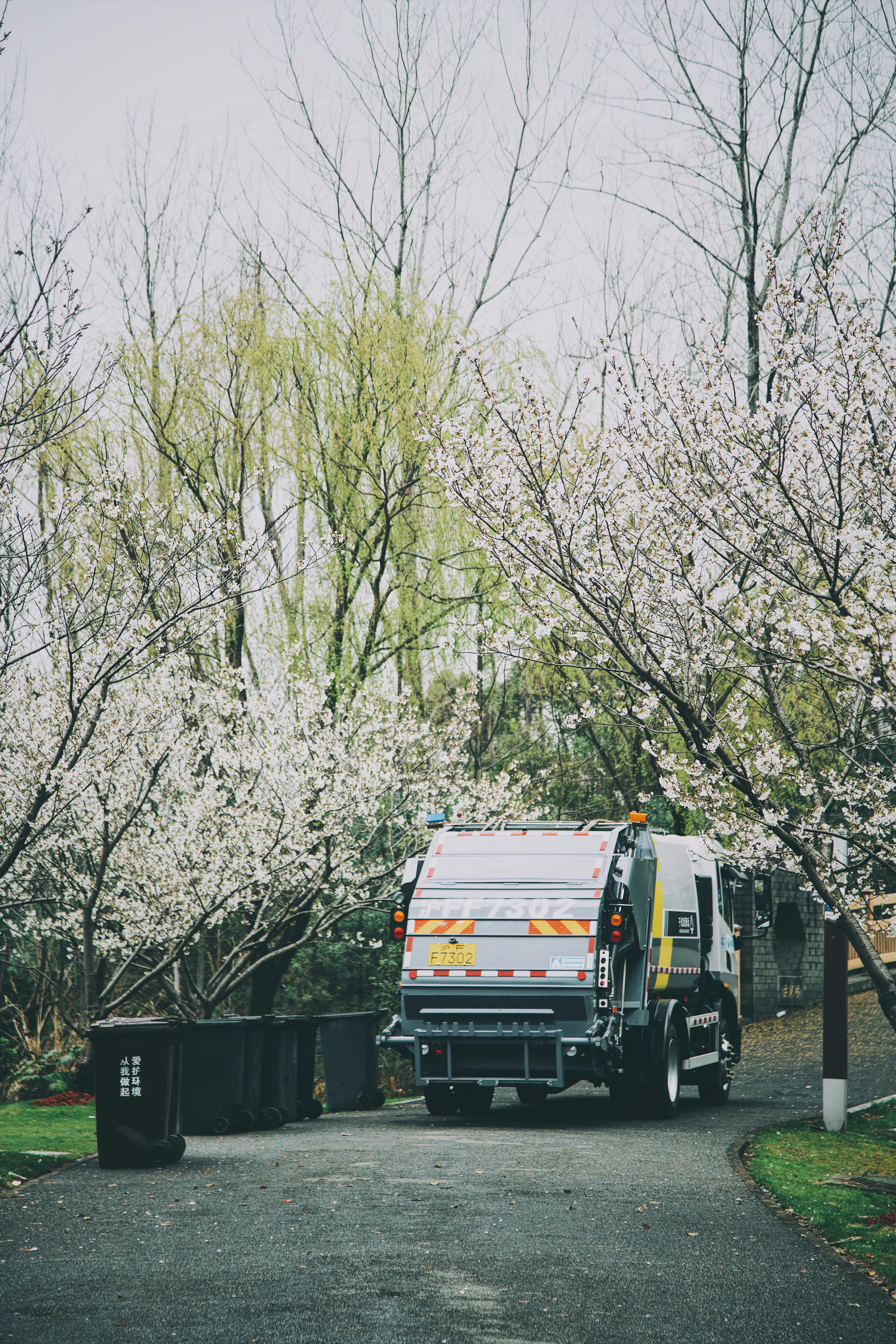 Garbage Truck Driving by Blooming Trees · Free Stock Photo