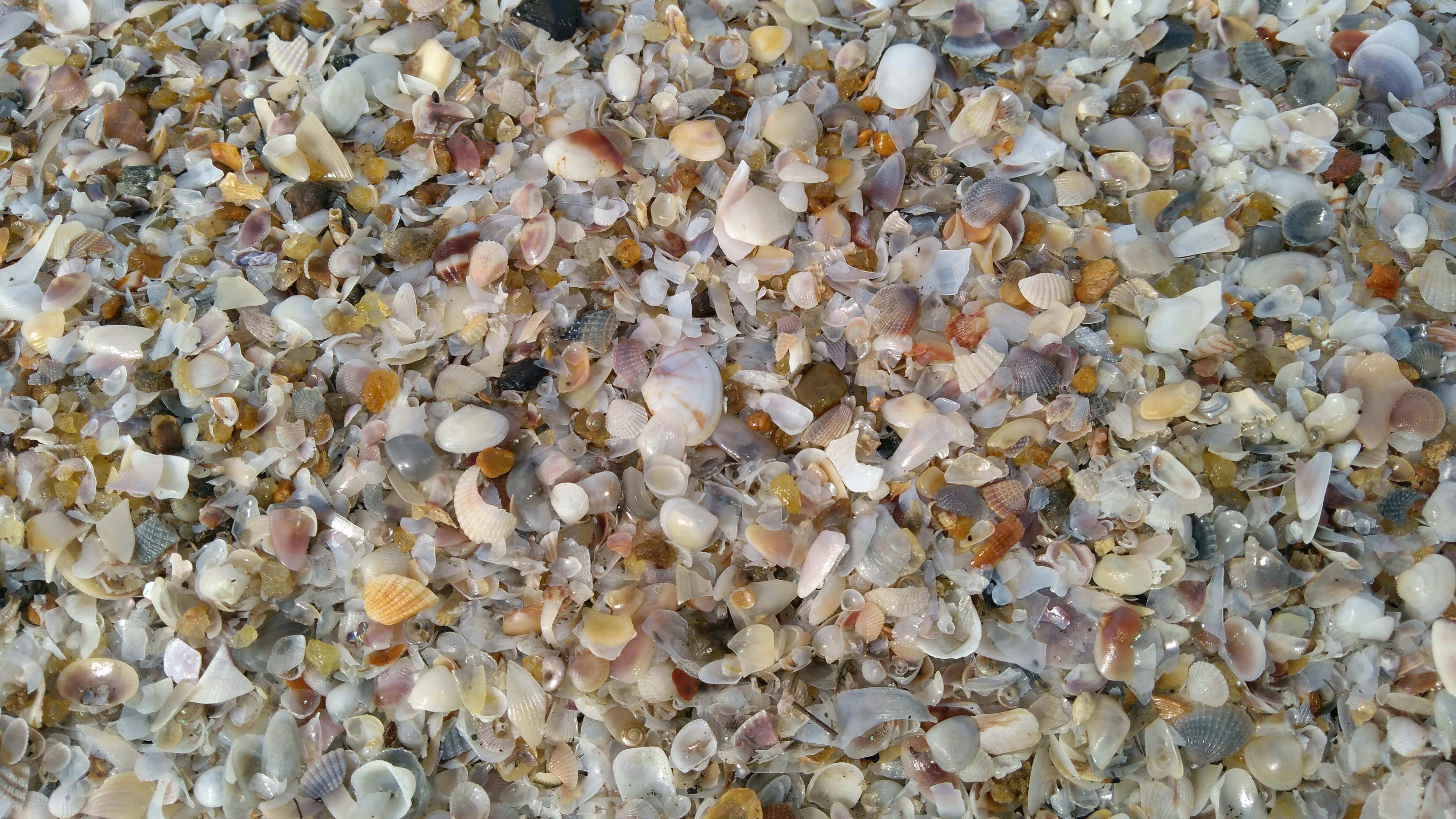 Free stock photo of early morning, kerala, water