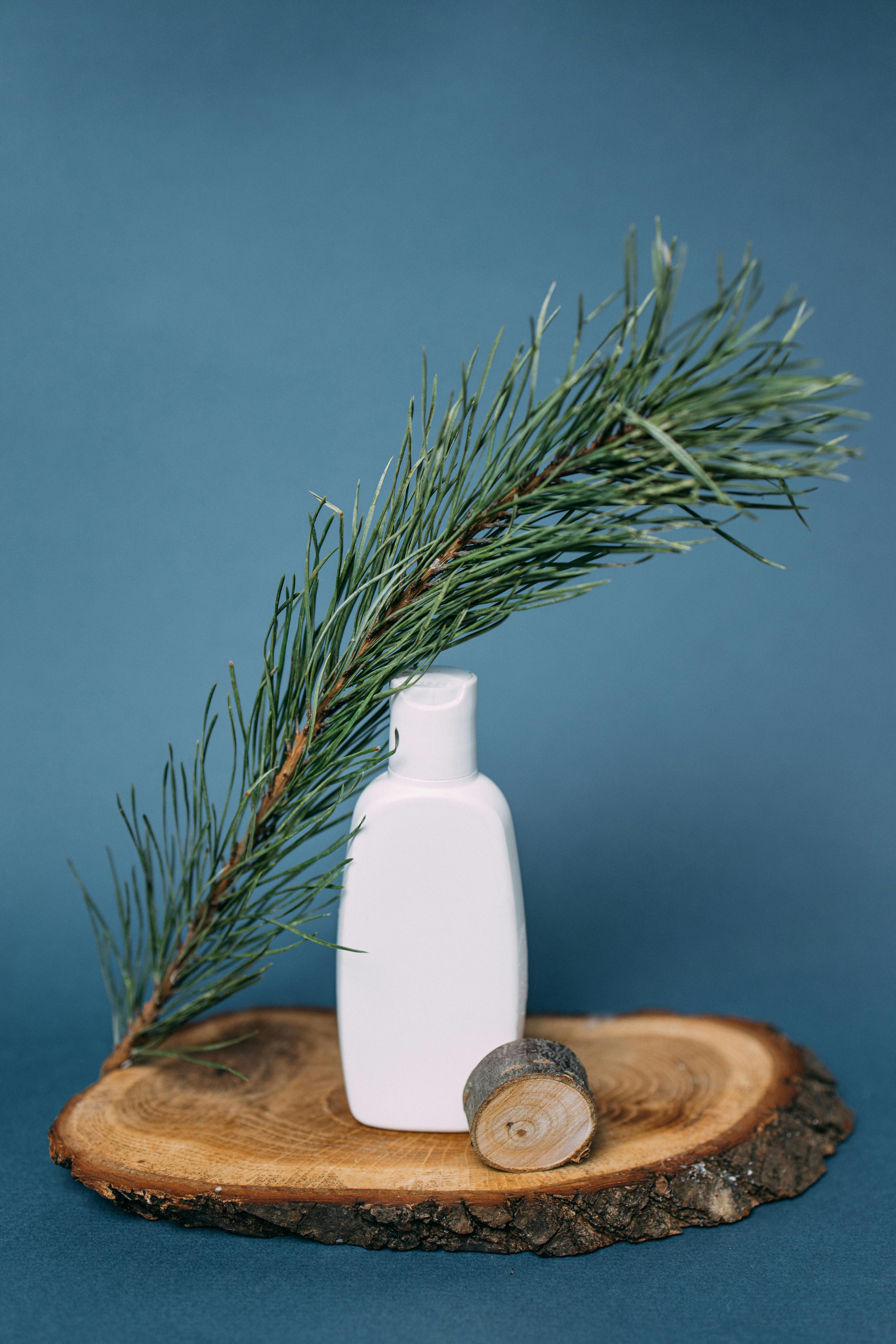 1,000+ Best Essentials Photos · 100% Free Download · Pexels Stock Photos