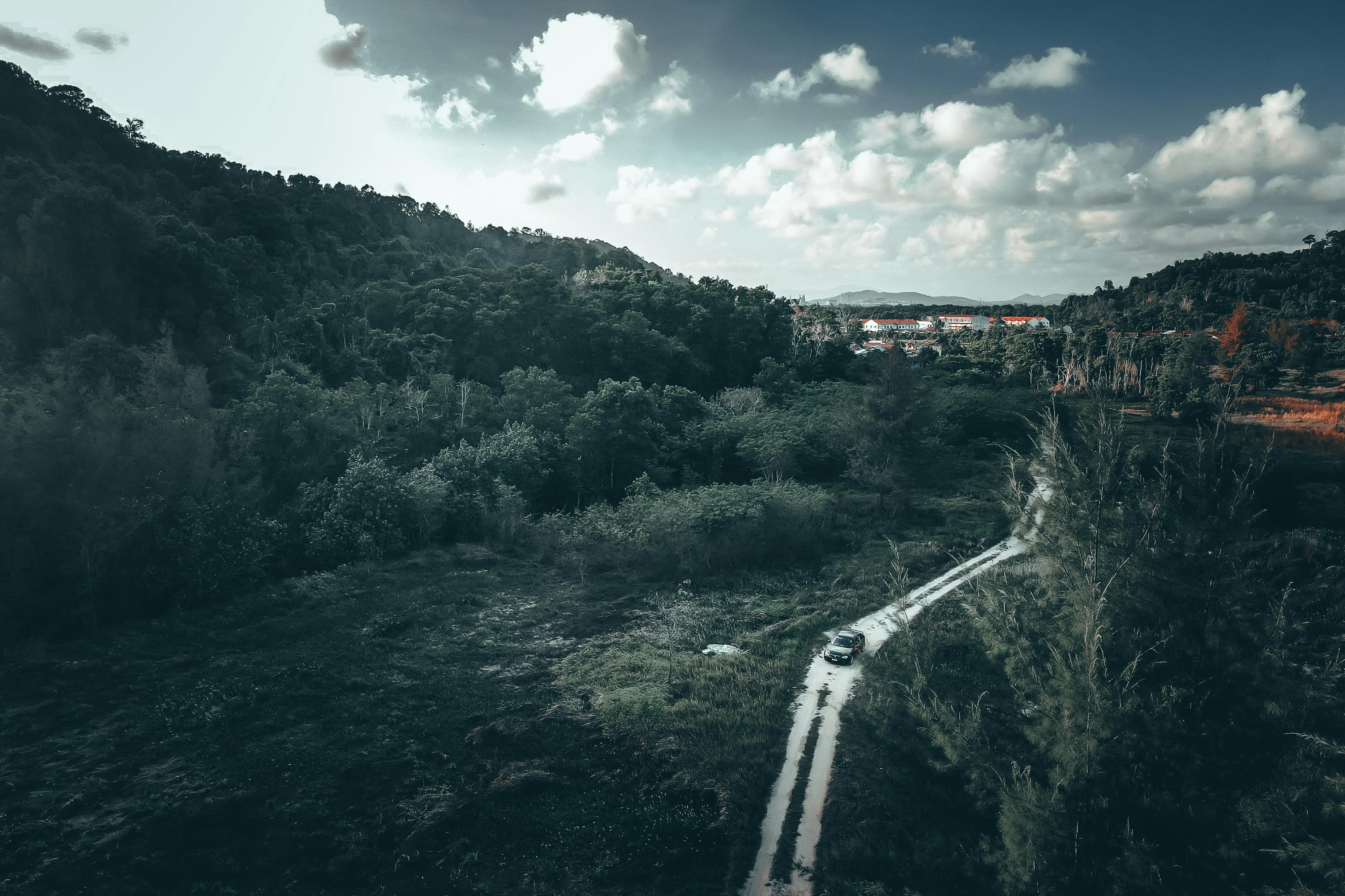 An Aerial Shot a Wild Roads · Free Stock Photo