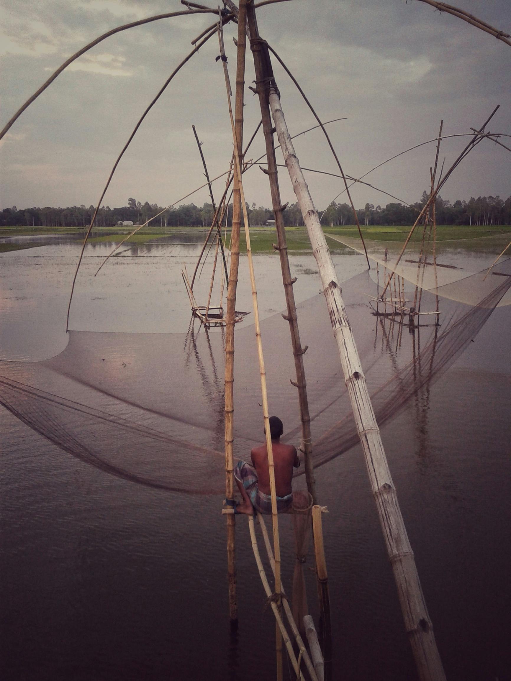 Free stock photo of catching fish