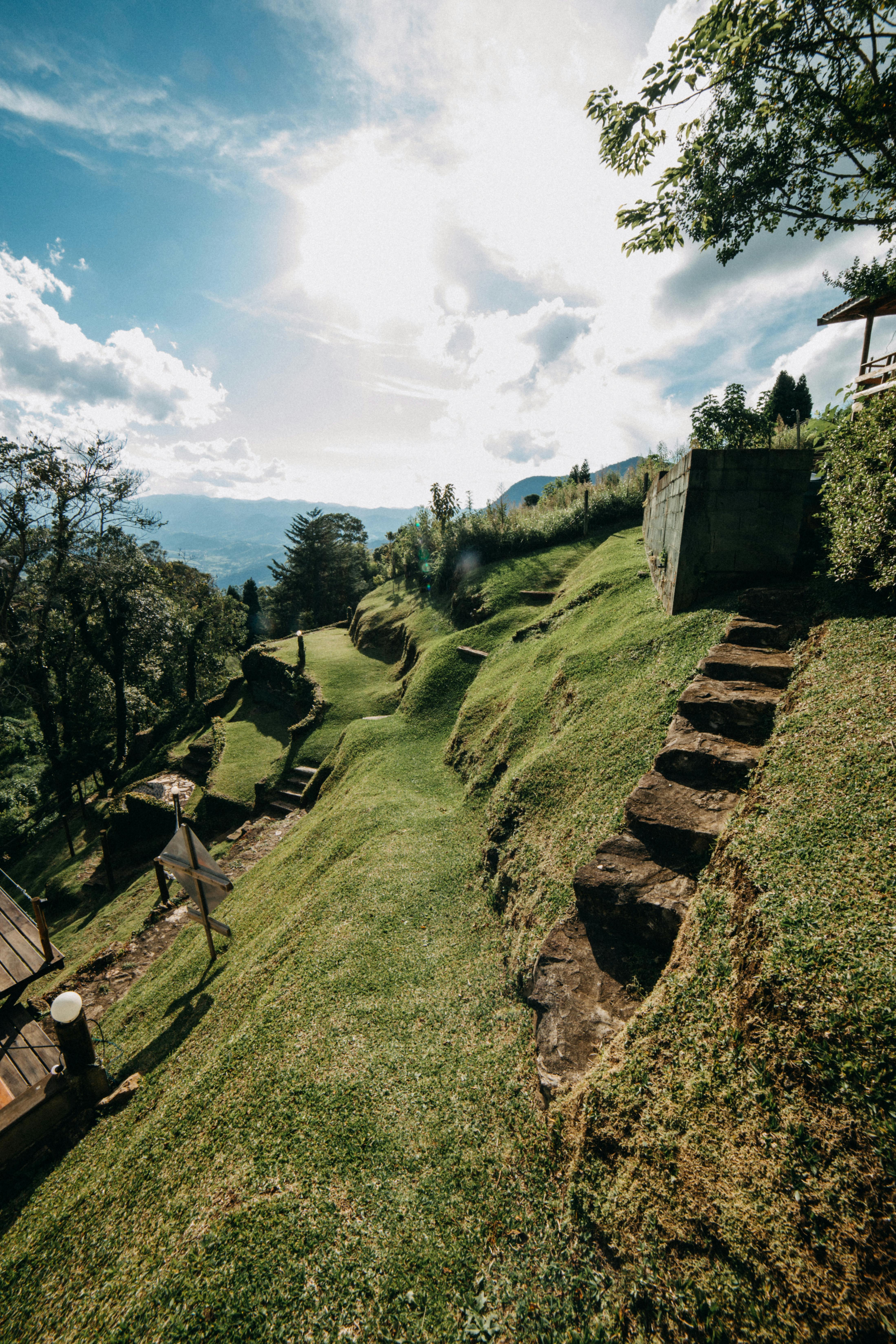 Grassy slope with steps in nature · Free Stock Photo