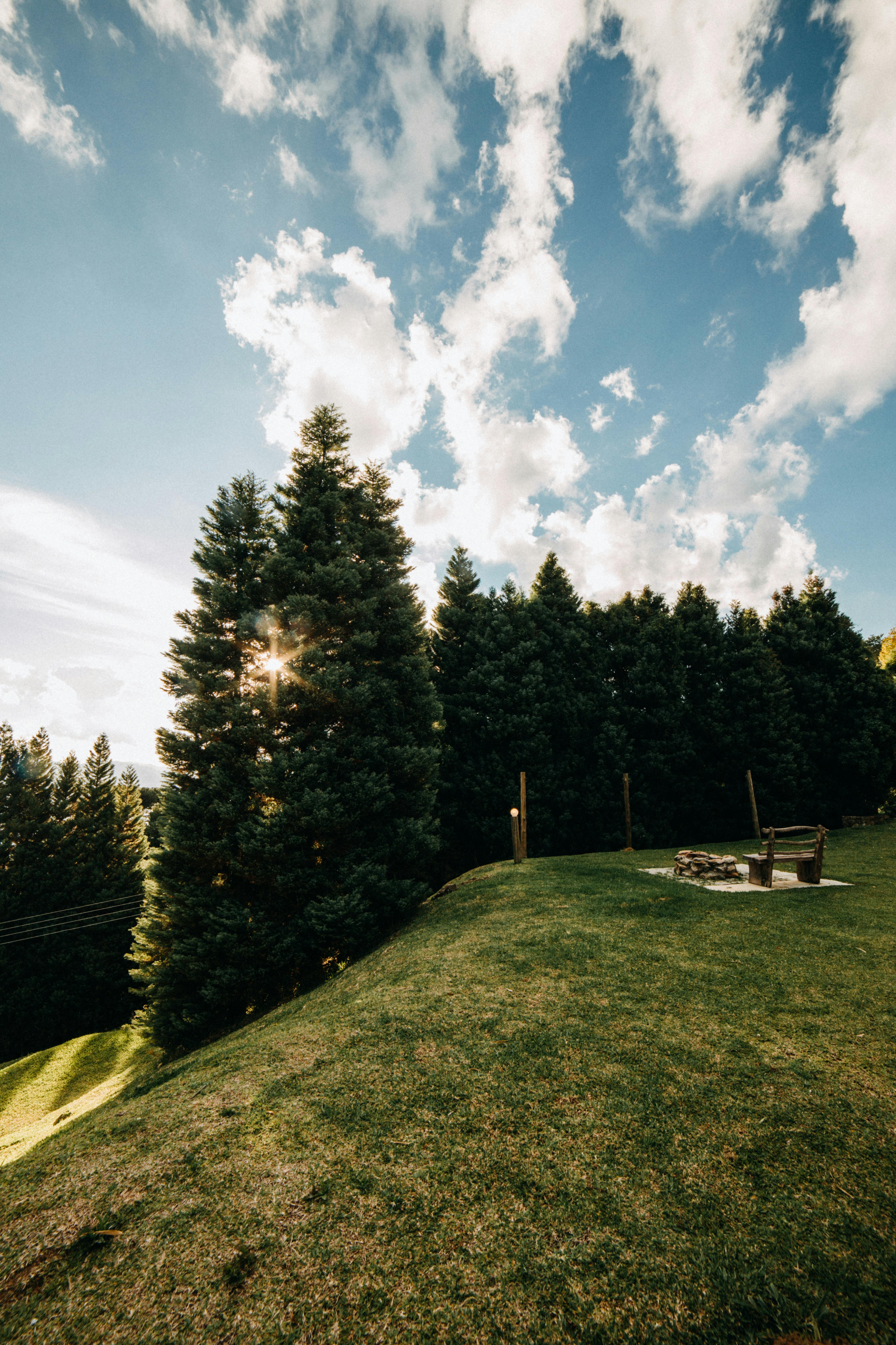 Top Of The Hill Photos, Download The BEST Free Top Of The Hill Stock ...