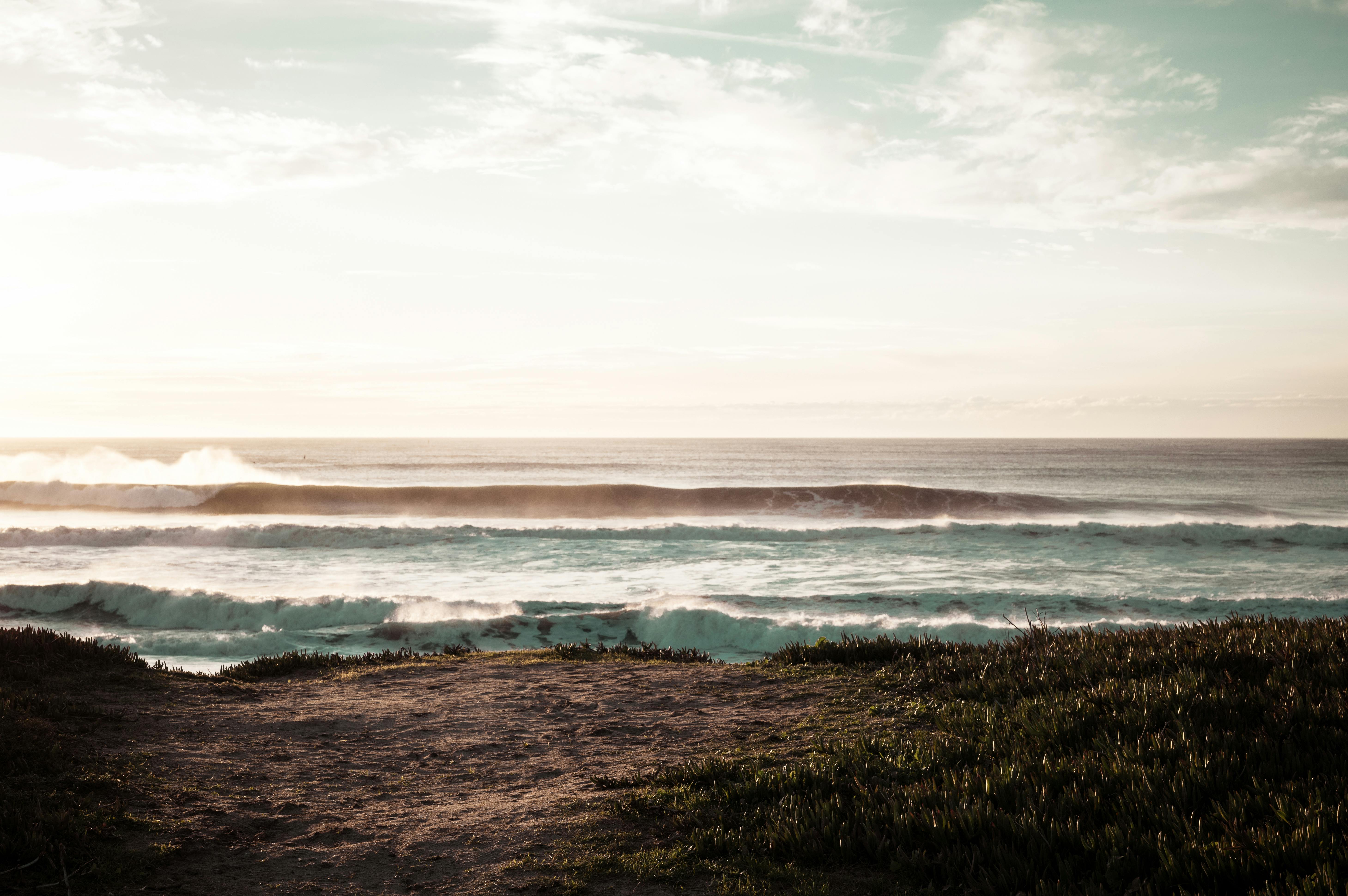 Green Grass Field Near Sea · Free Stock Photo