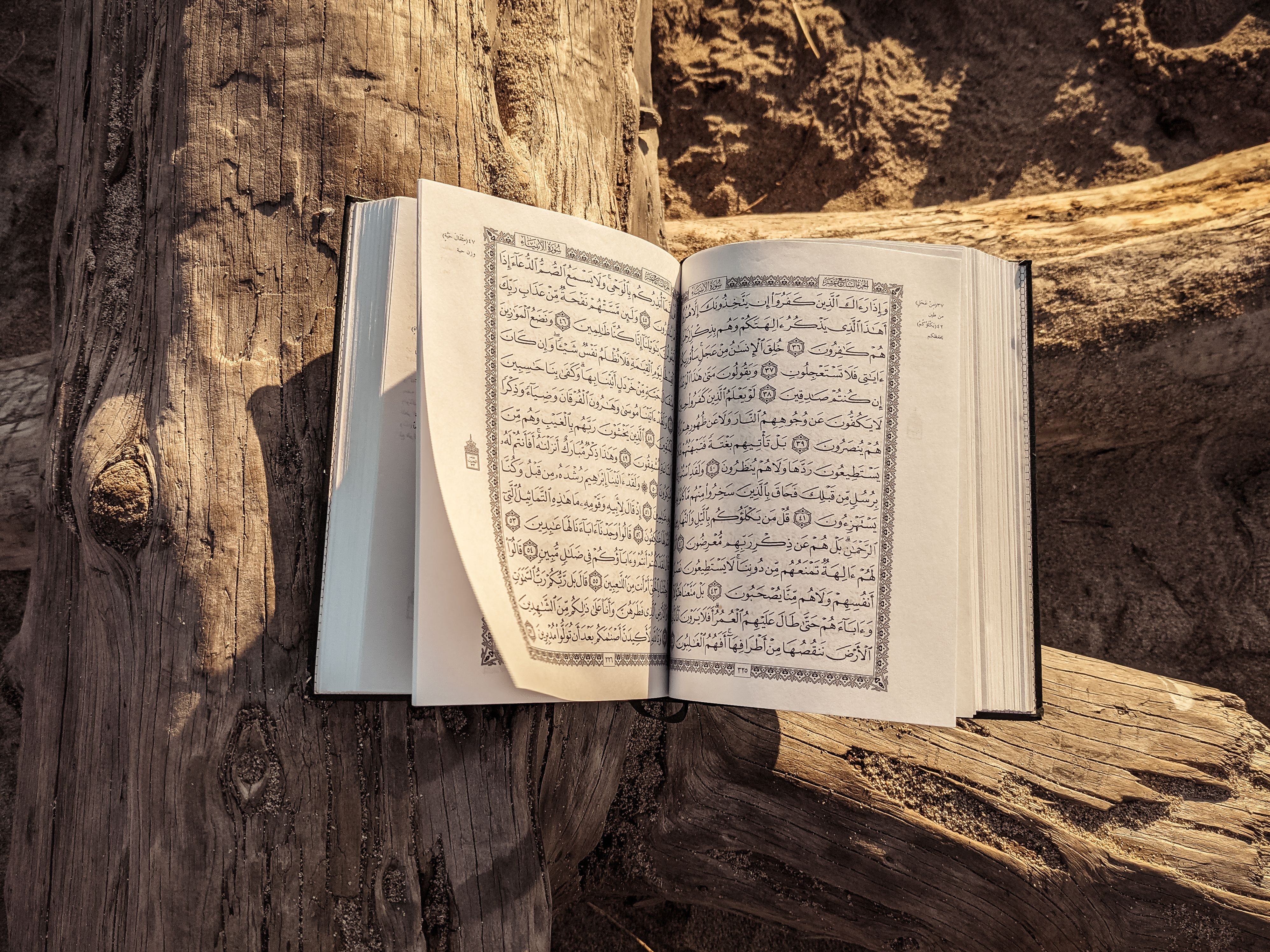 Half Open Book Photos, Download The BEST Free Half Open Book Stock ...