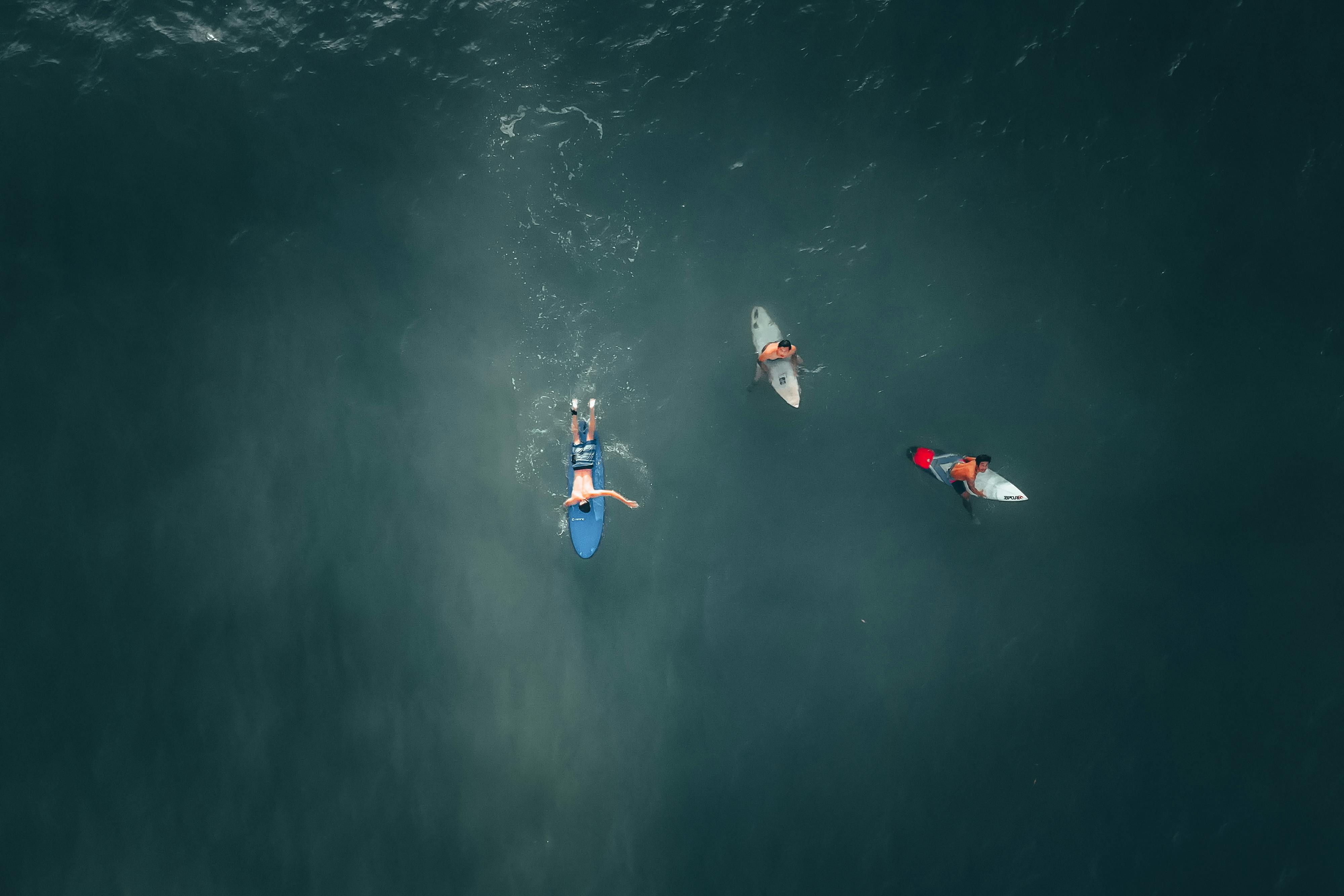 Woman in Pink Bikini Surfing · Free Stock Photo