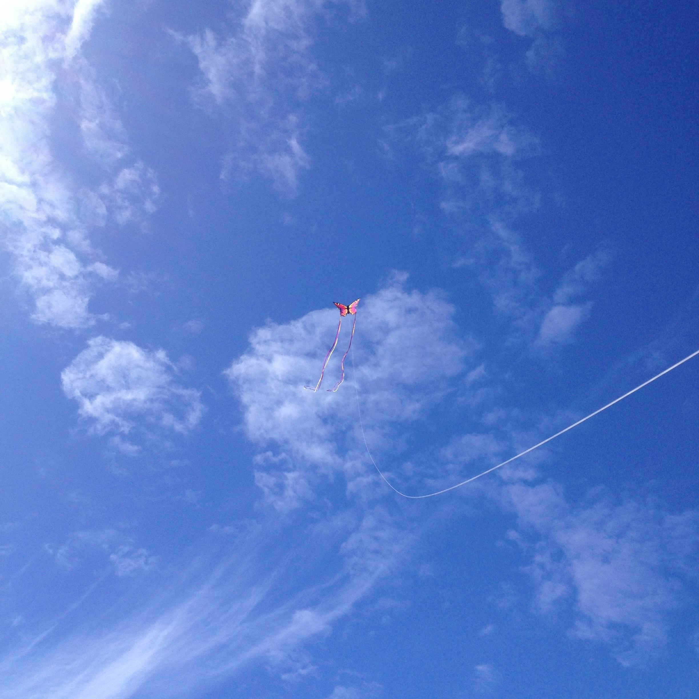 Free stock photo of blue sky, kite, light clouds