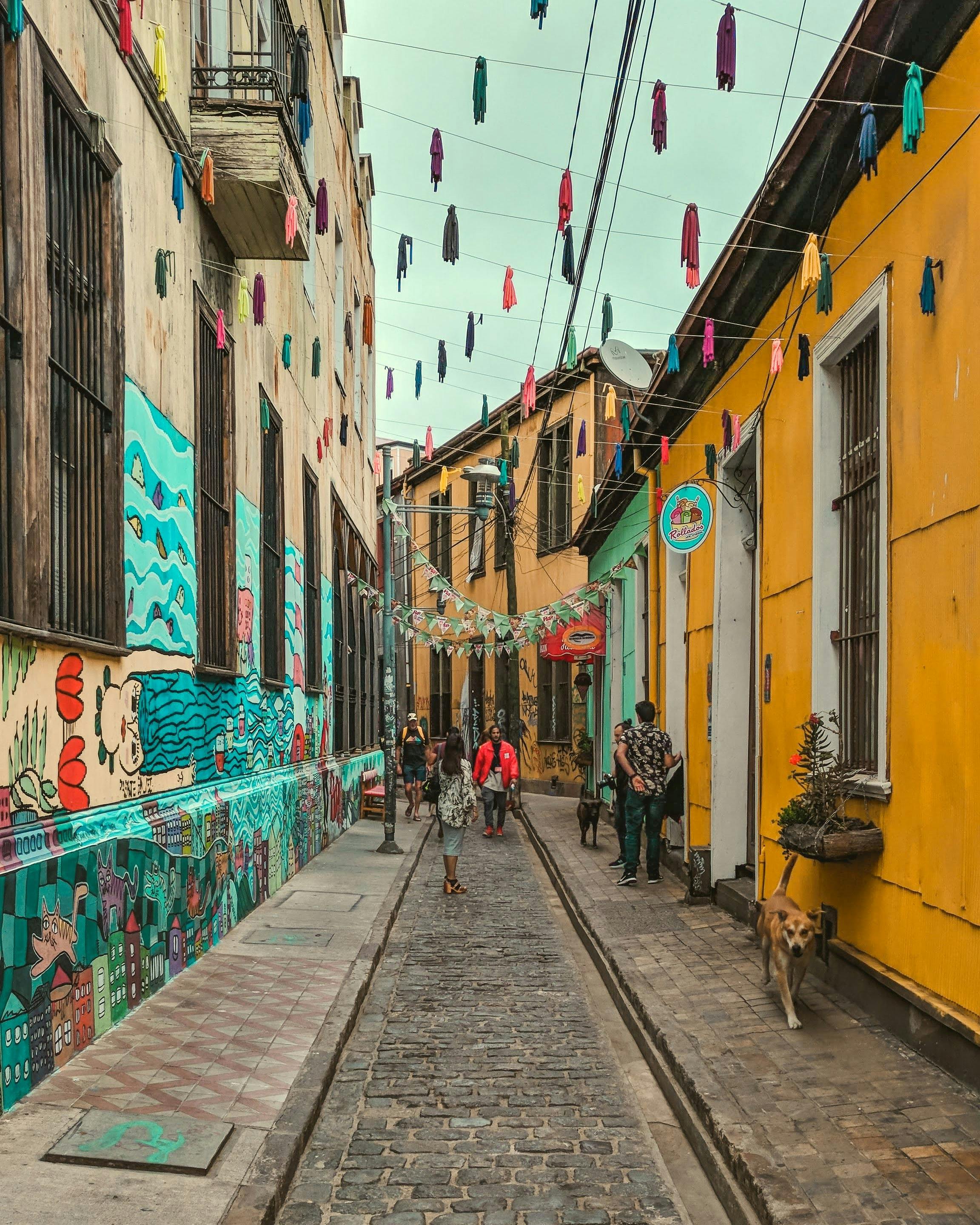 People Walking on Green Pathway Between Concrete Building during ...