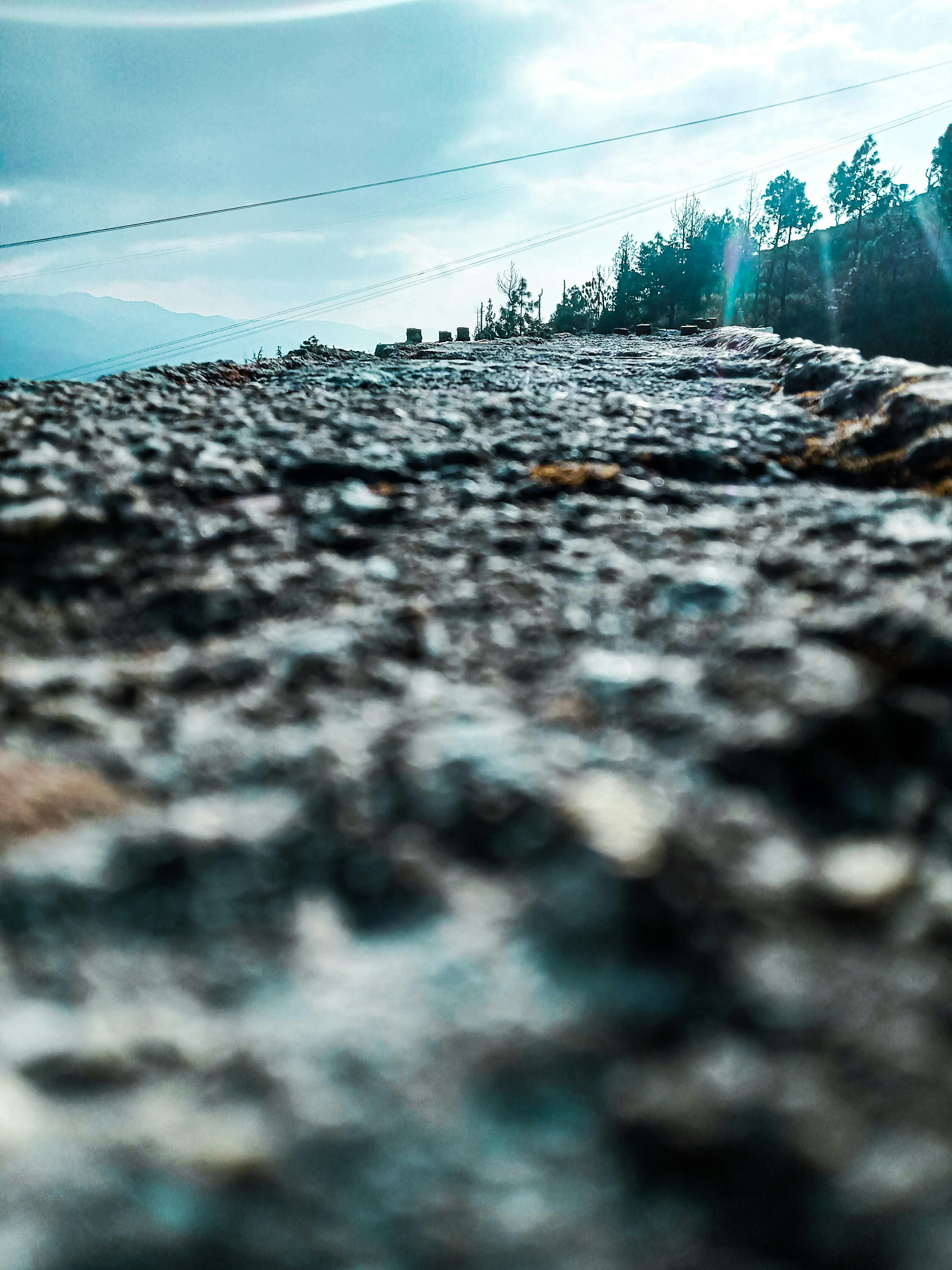 Dhiraj Singh - Fotografía