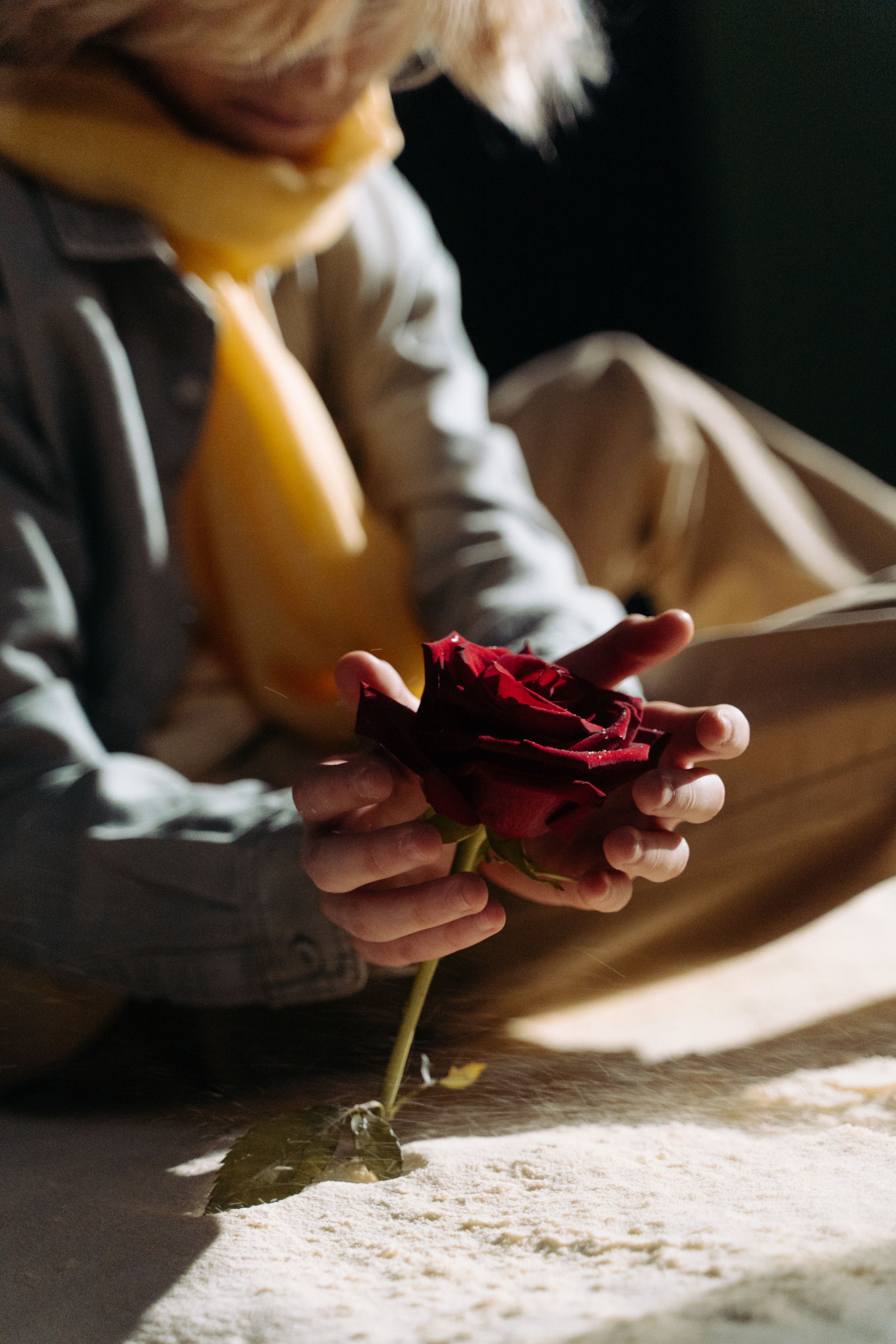 Close-up Photo of Woman Holding Red Rose Flower · Free Stock Photo