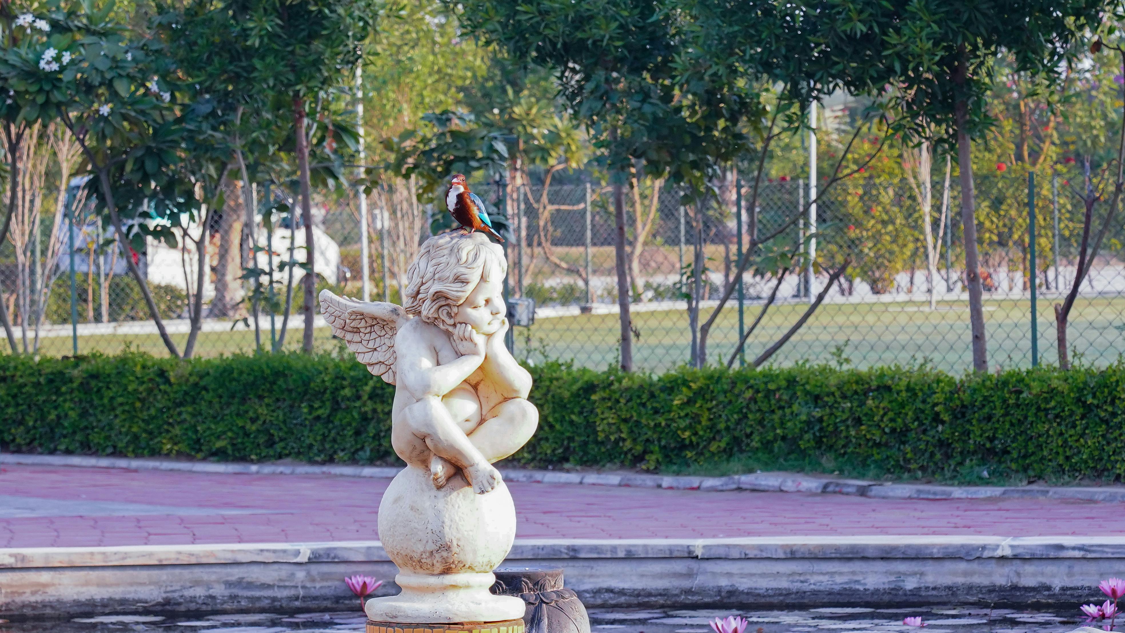 21 fotos y vídeos de Bird photography guardados por Ankit Patel