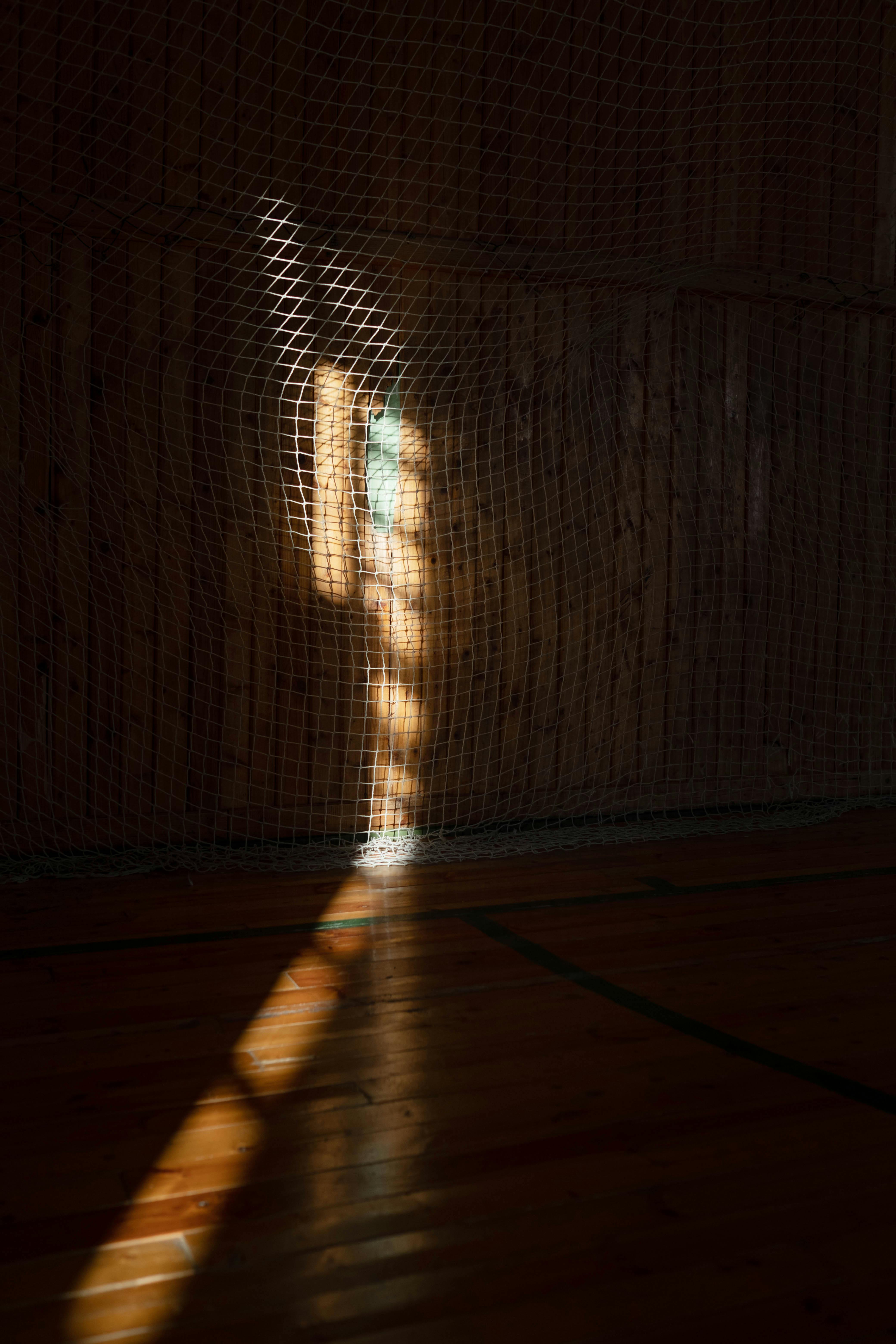 Shadow Gym Photos, Download The BEST Free Shadow Gym Stock Photos & HD ...