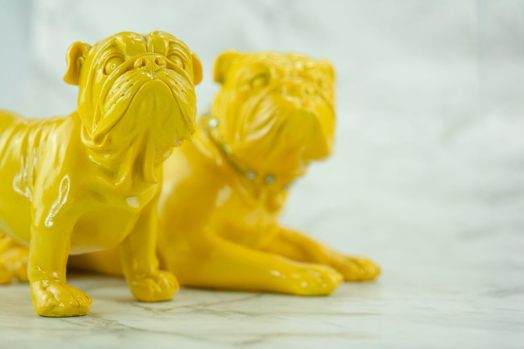 Discovering Nureongi or Yellow Dogs: Breeds & Unique Traits