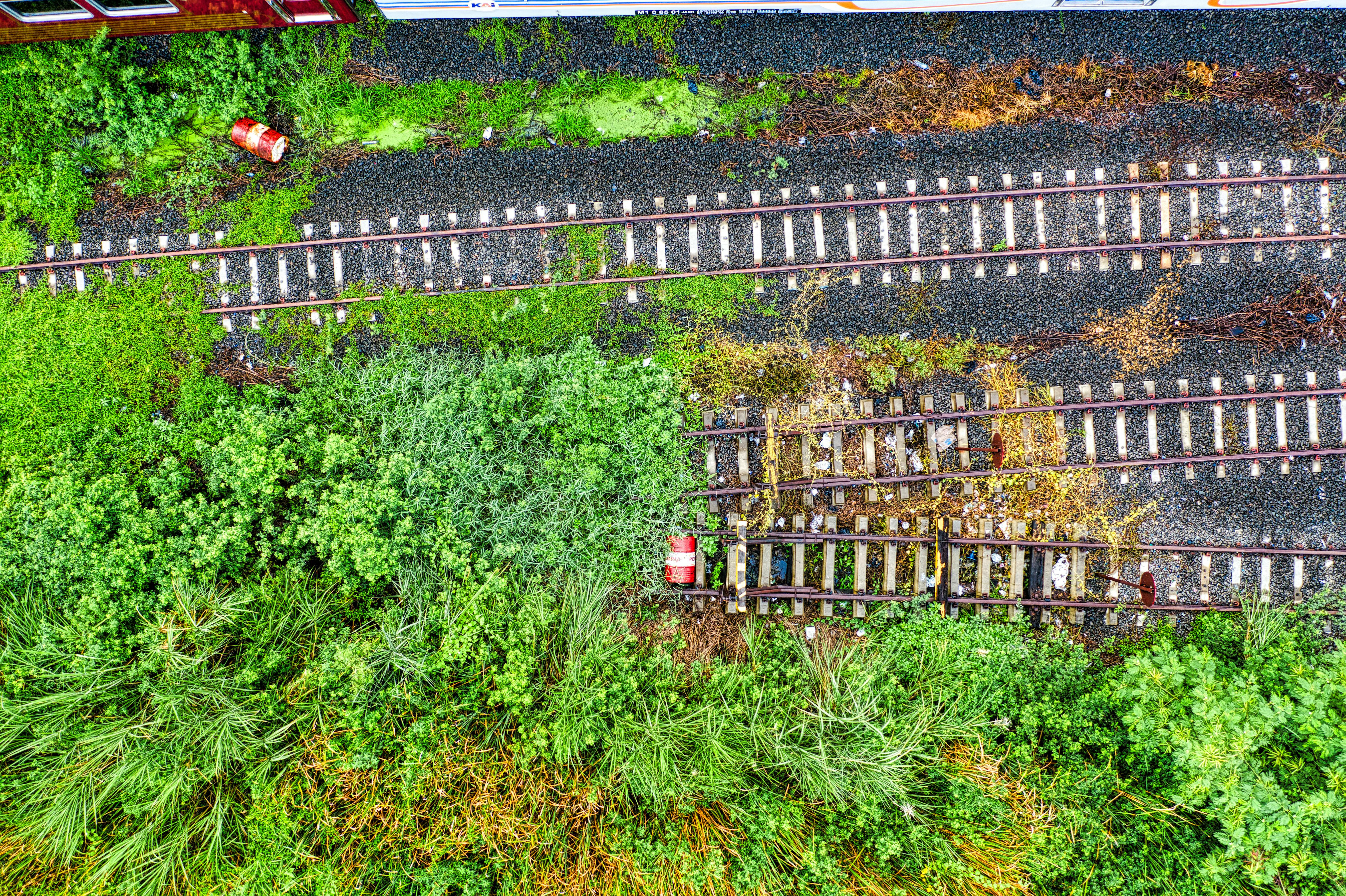 Railways Leading to Green Plants · Free Stock Photo