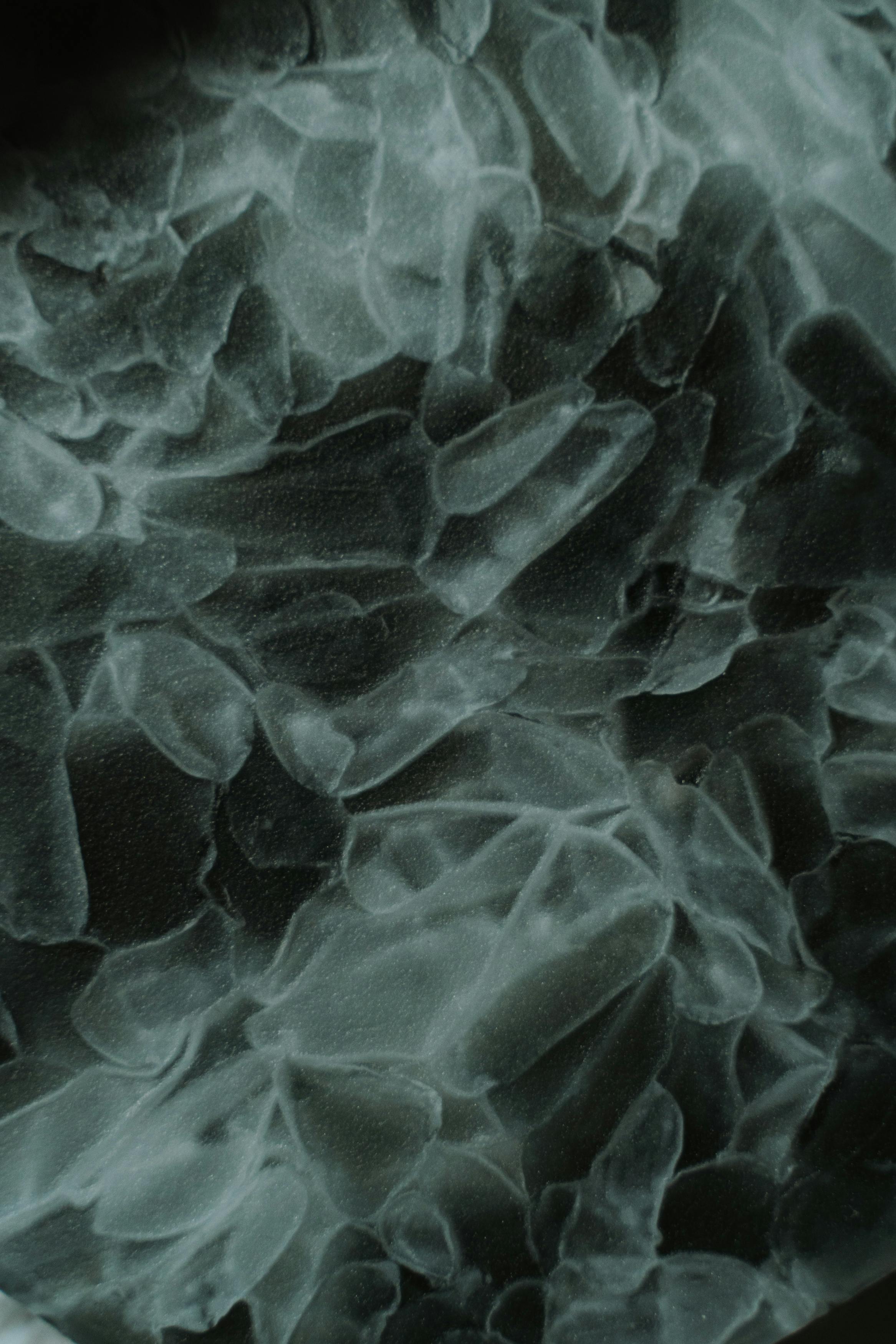 Microscopic Abstract Picture · Free Stock Photo