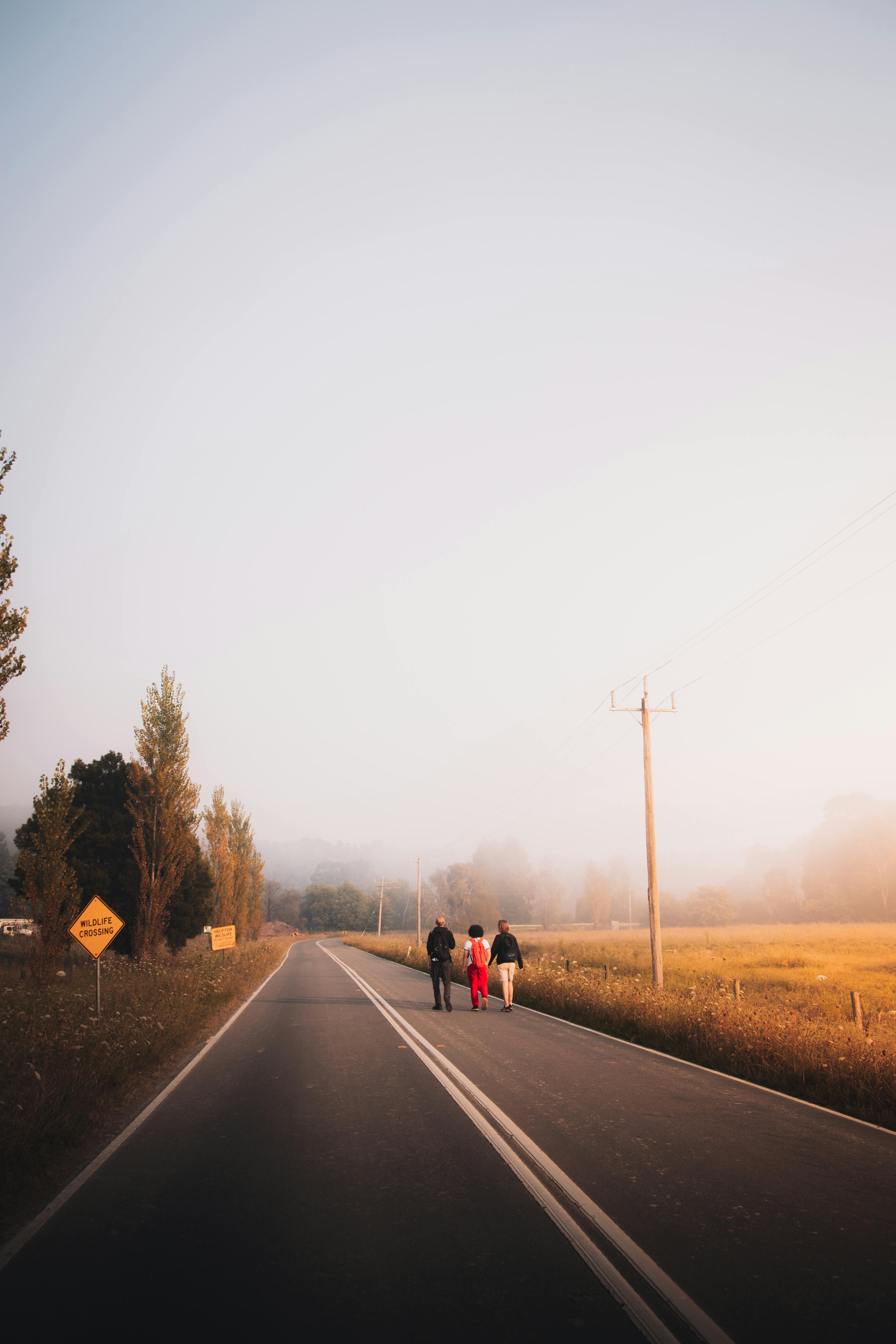 People Walking on the Road · Free Stock Photo
