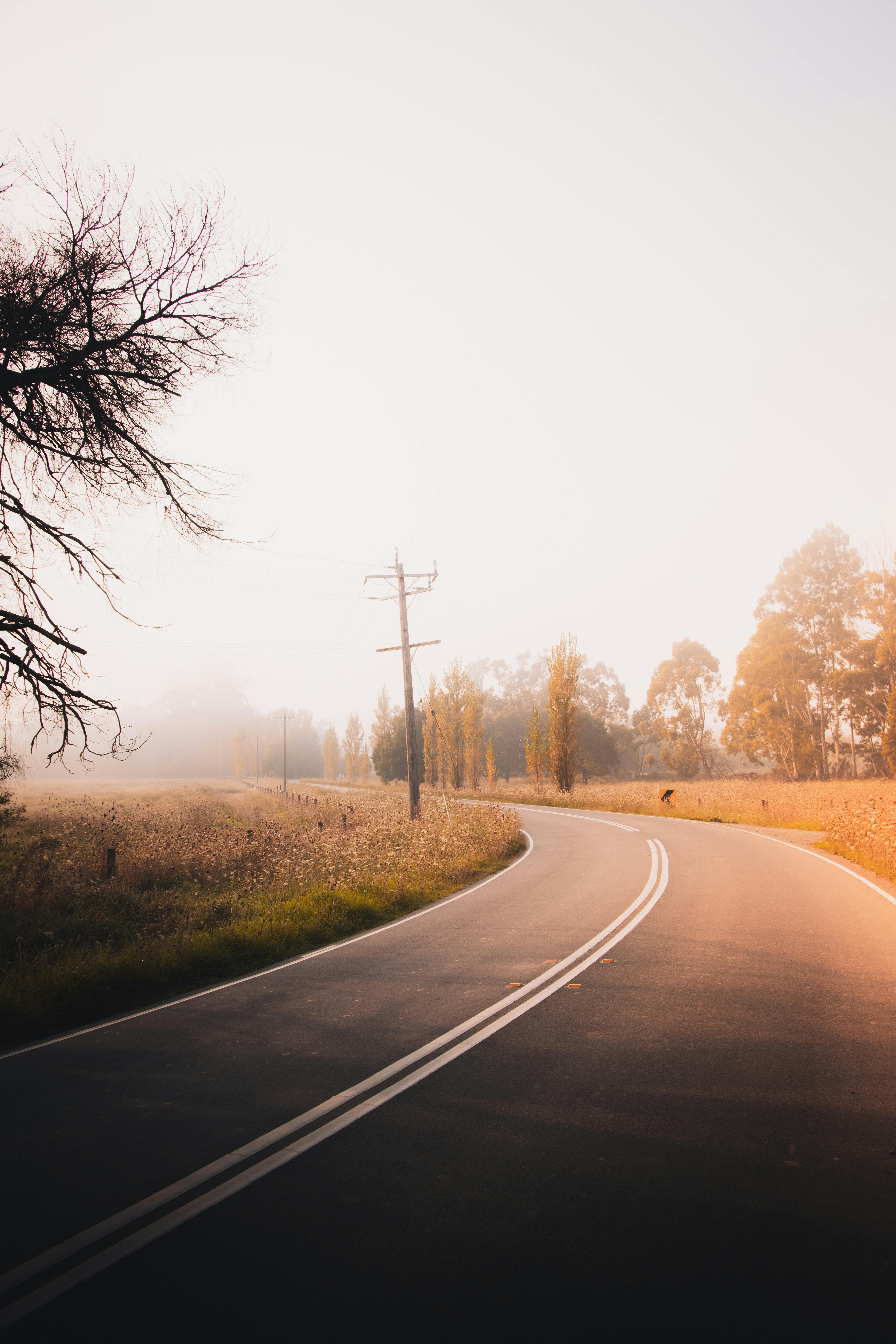 An Empty Road · Free Stock Photo