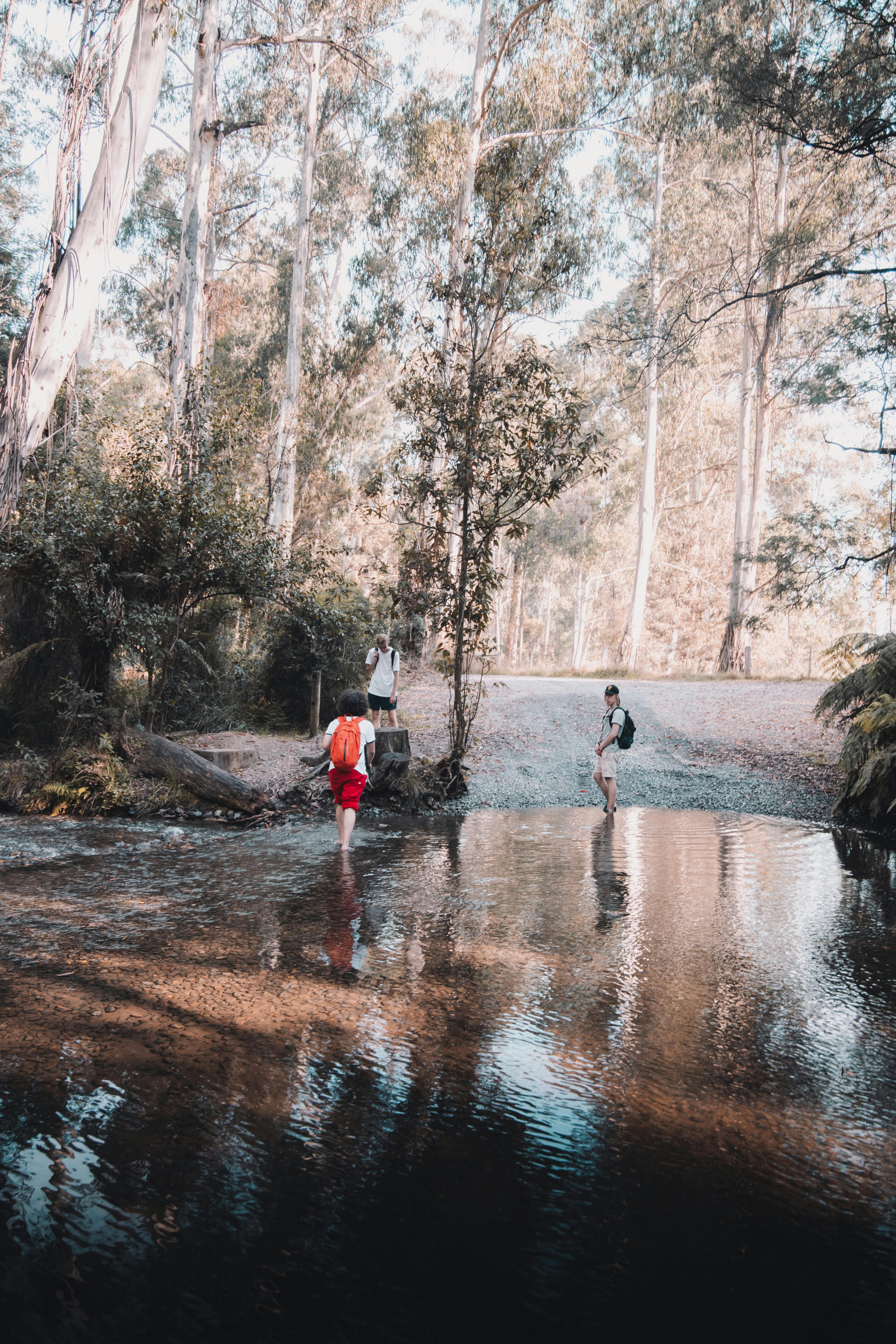 Men Walking on the River · Free Stock Photo