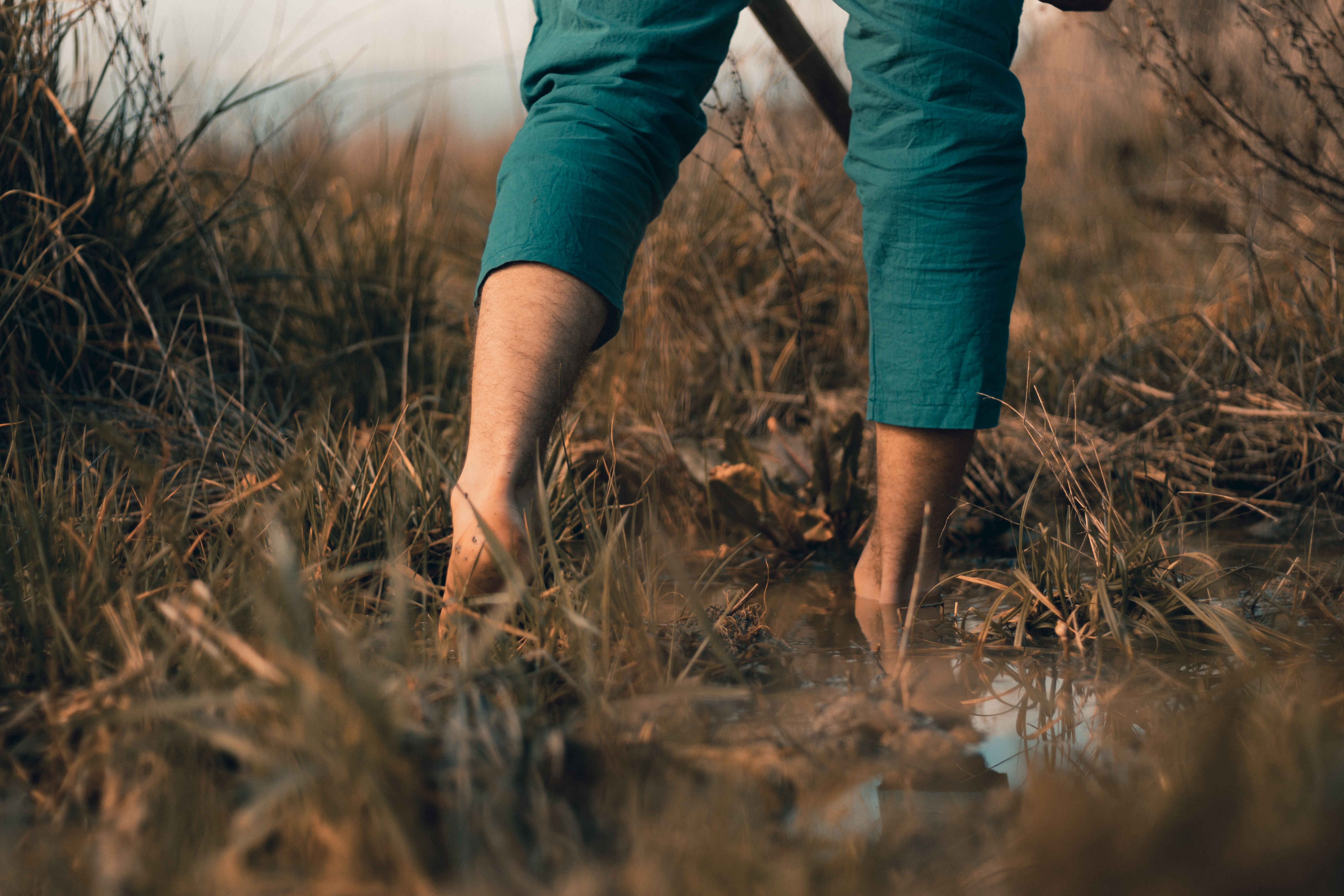 Man Wading Barefoot in a Wetland with a Spade · Free Stock Photo