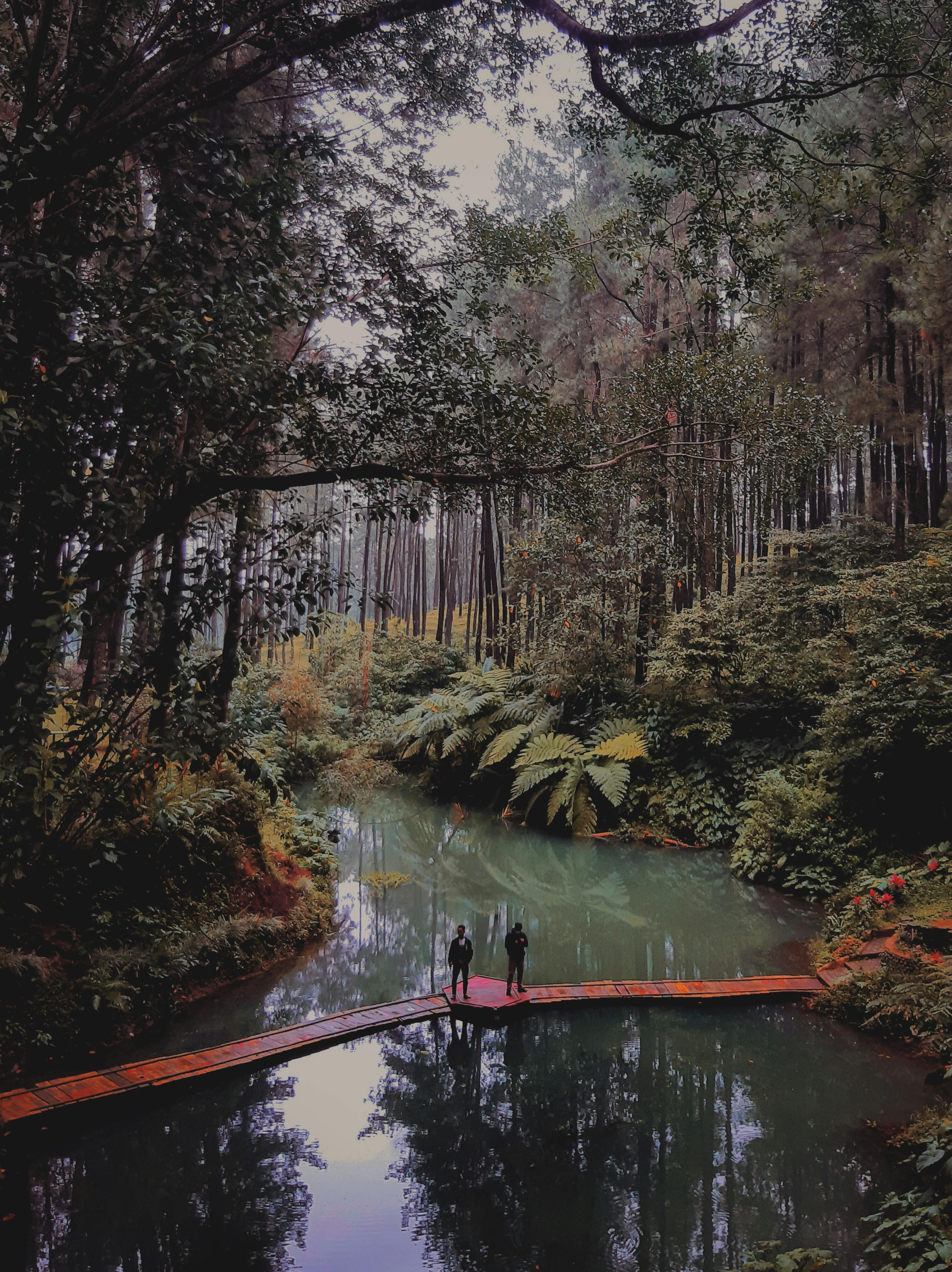 DIMAS ALDI PRATAMA - Fotografía