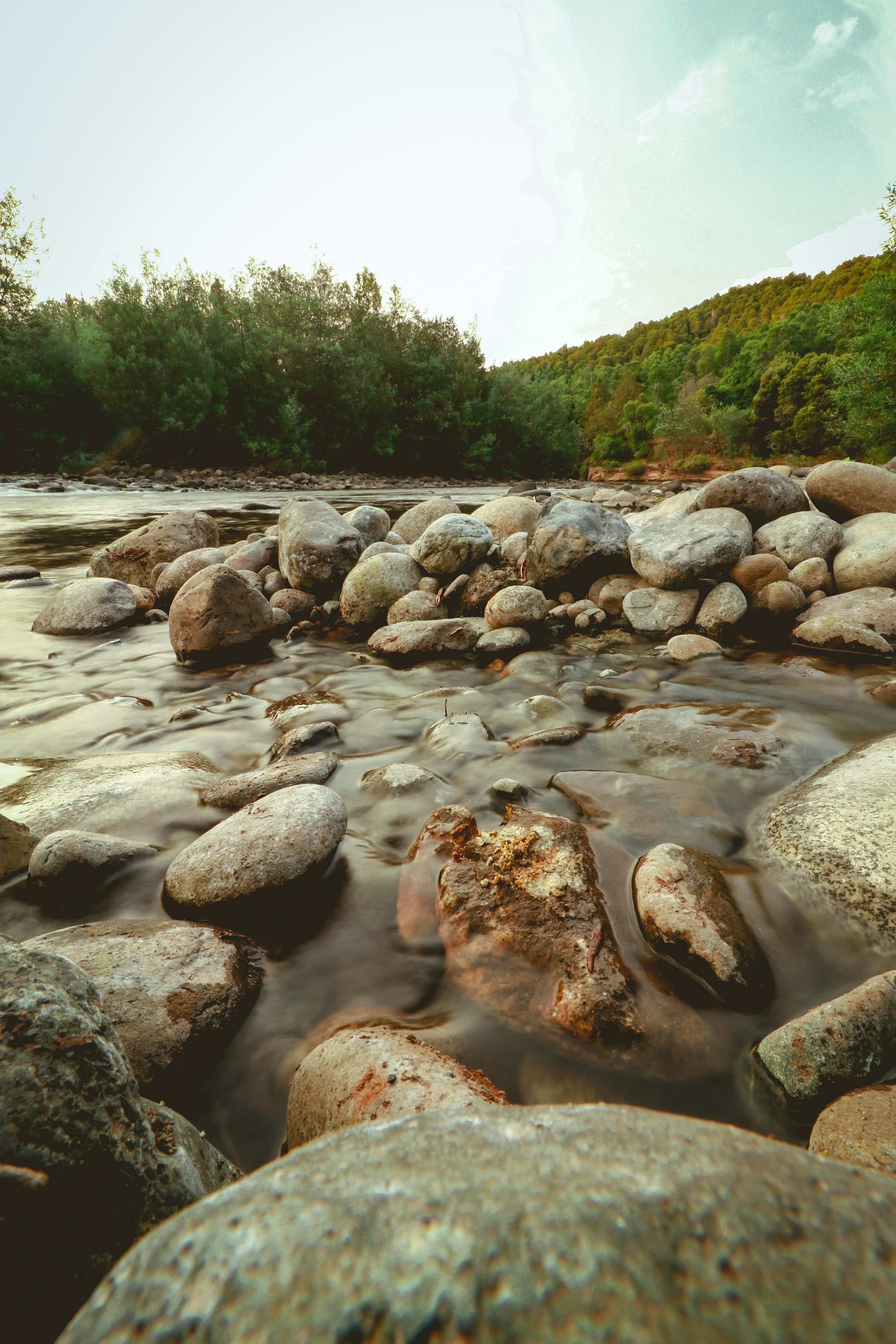 50,000+ Best Rocky River Photos · 100% Free Download · Pexels Stock Photos