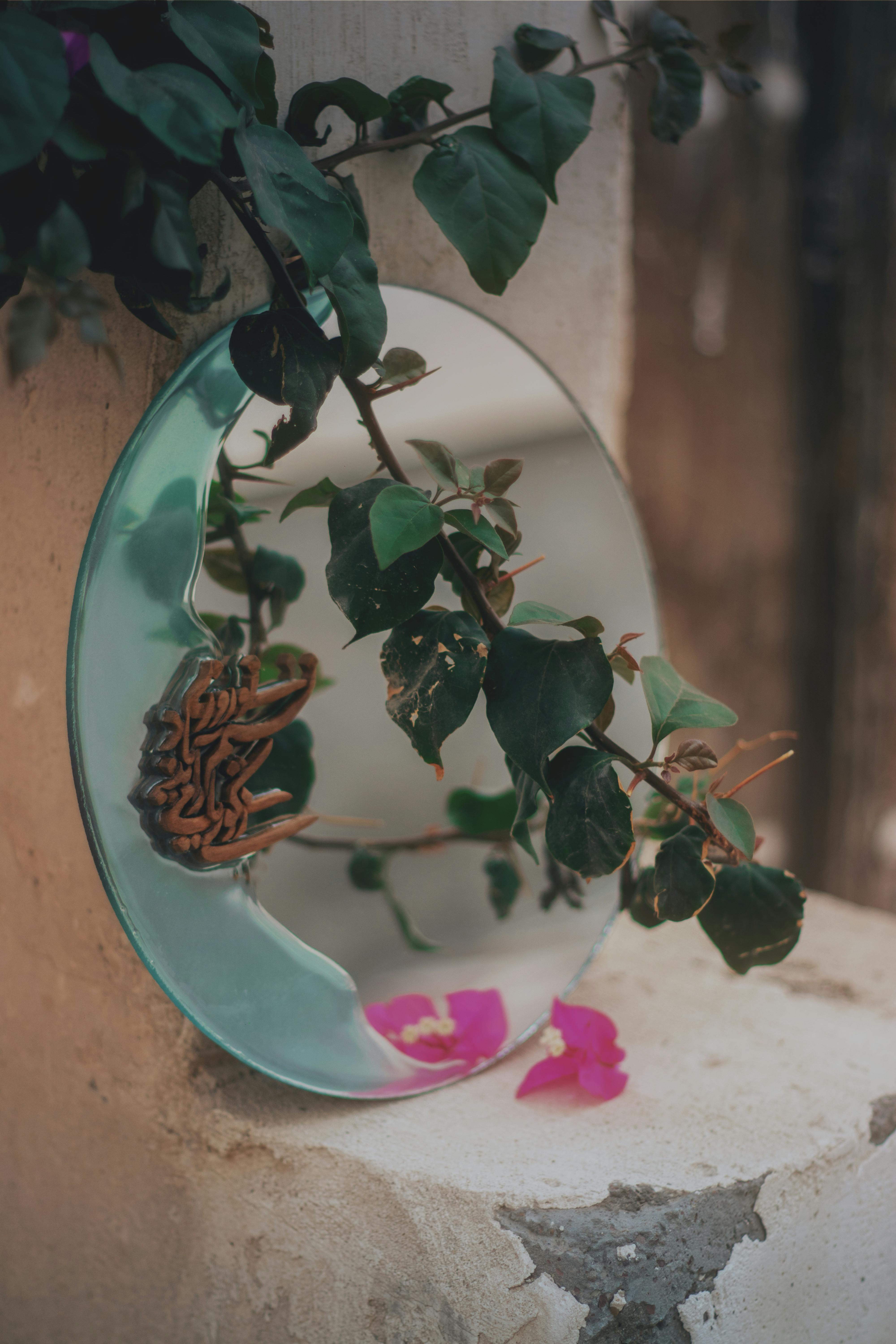 Woman Looking at her Reflection in a Mirror · Free Stock Photo