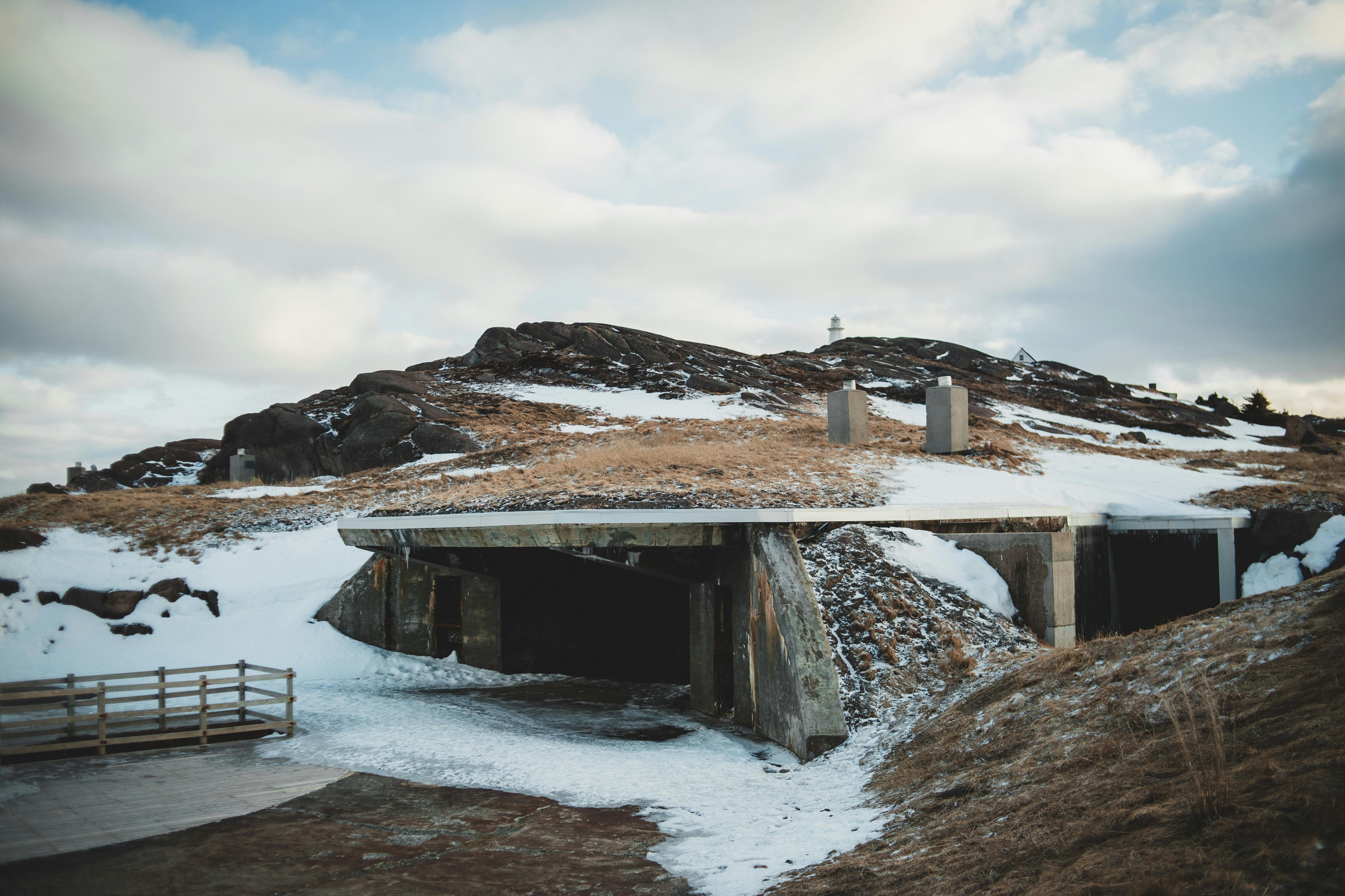 Grass Underground Photos, Download The BEST Free Grass Underground ...