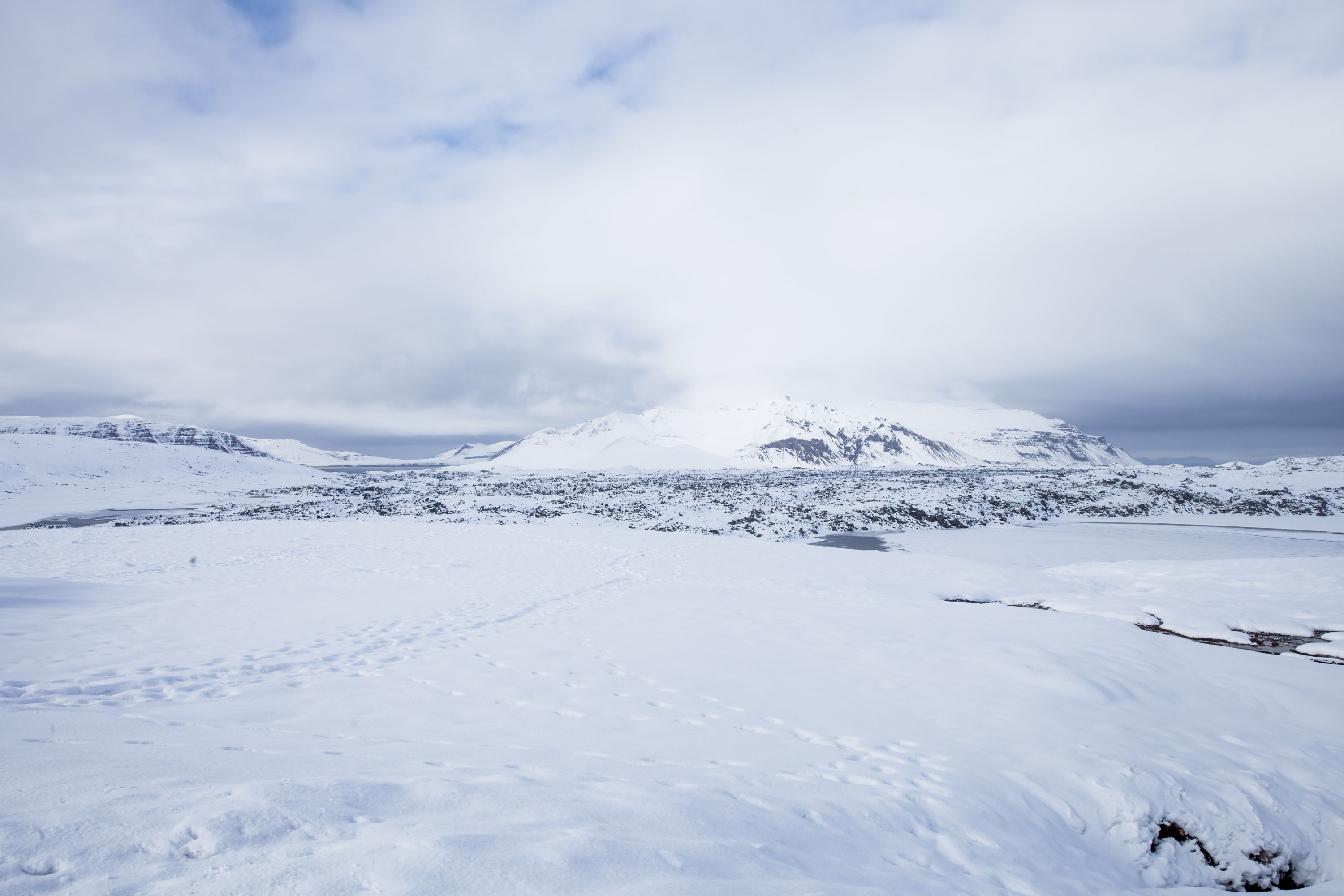 A Snow-Covered Field · Free Stock Photo