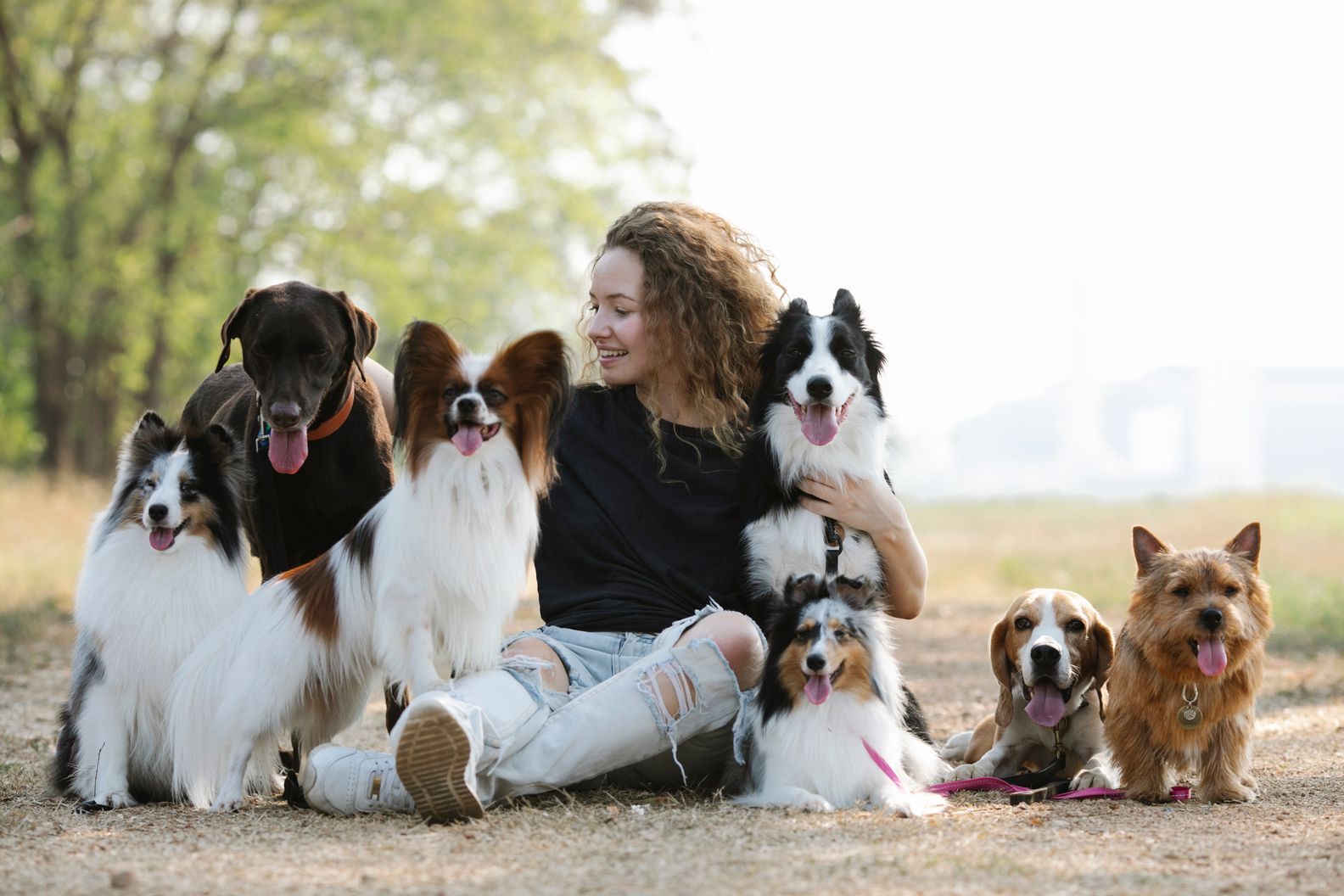 Understanding Labrador Dog Behaviour Across Life Stages