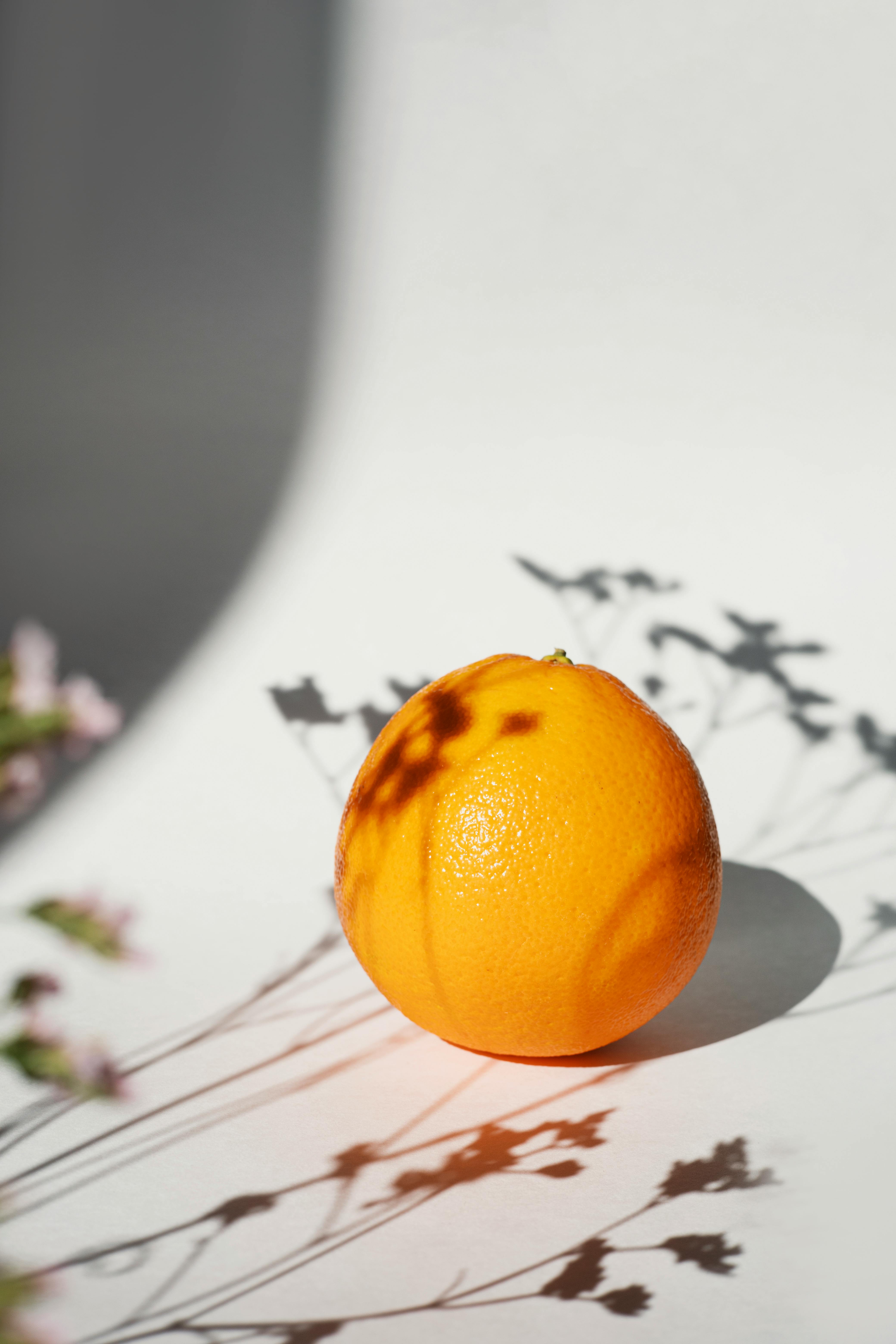 Orange Photography Profile For Orange Photography