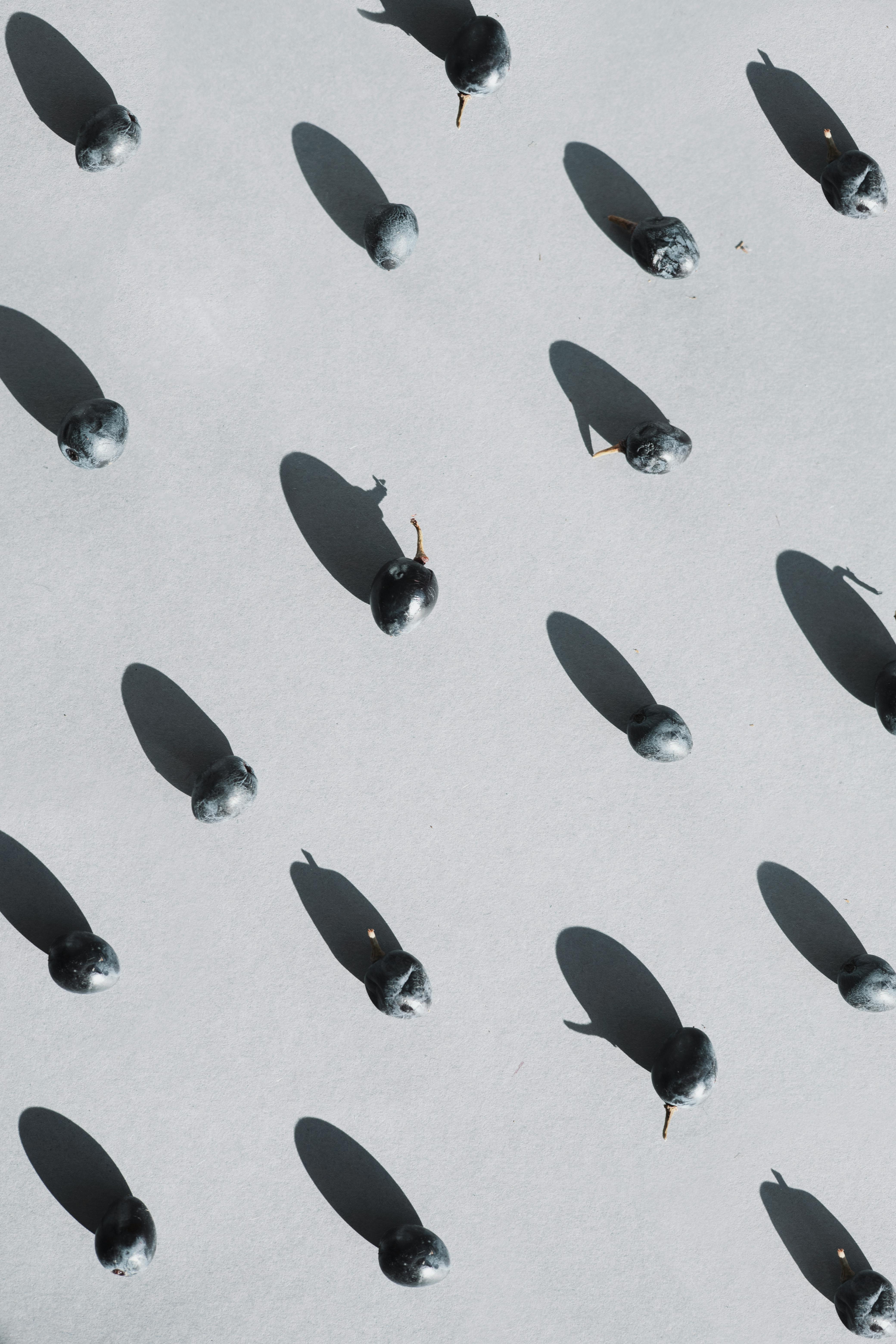 Grayscale Photo of Fruits in Rows · Free Stock Photo