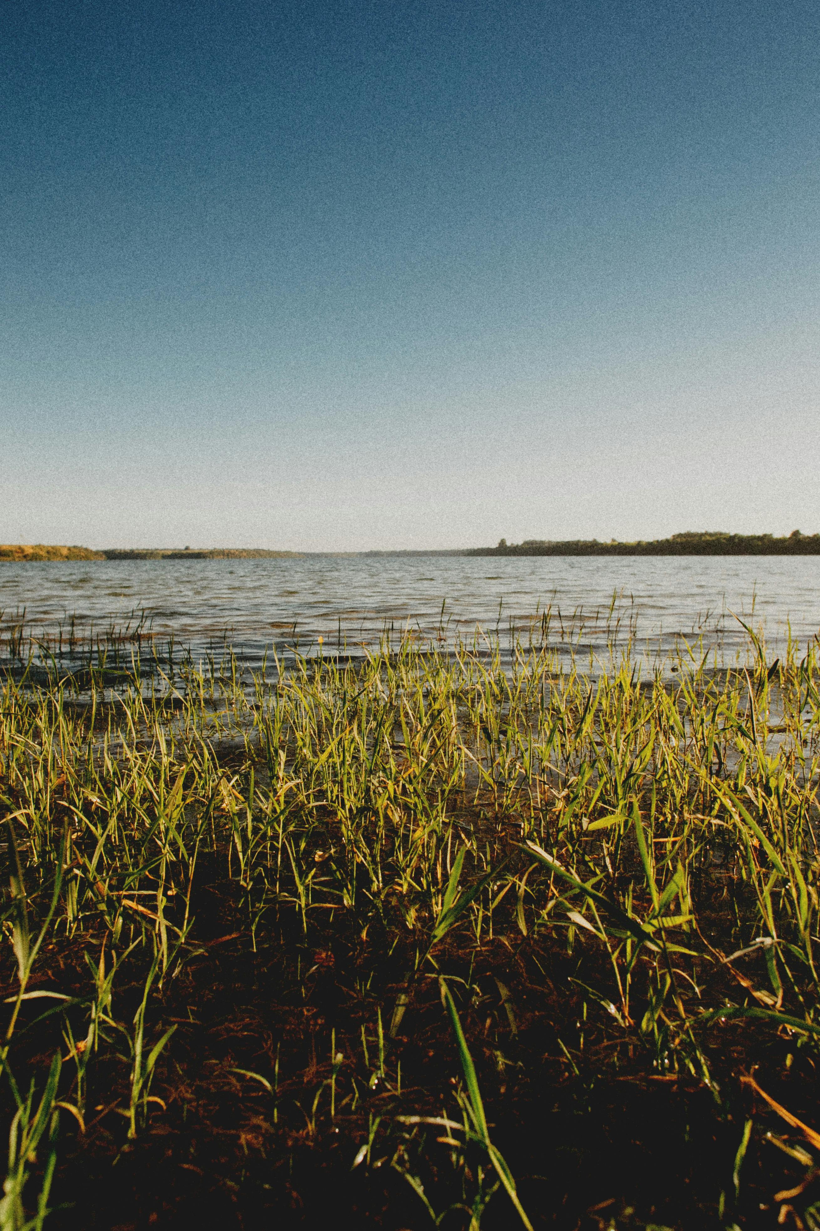 Abstract background of shiny ocean water with ripples · Free Stock Photo