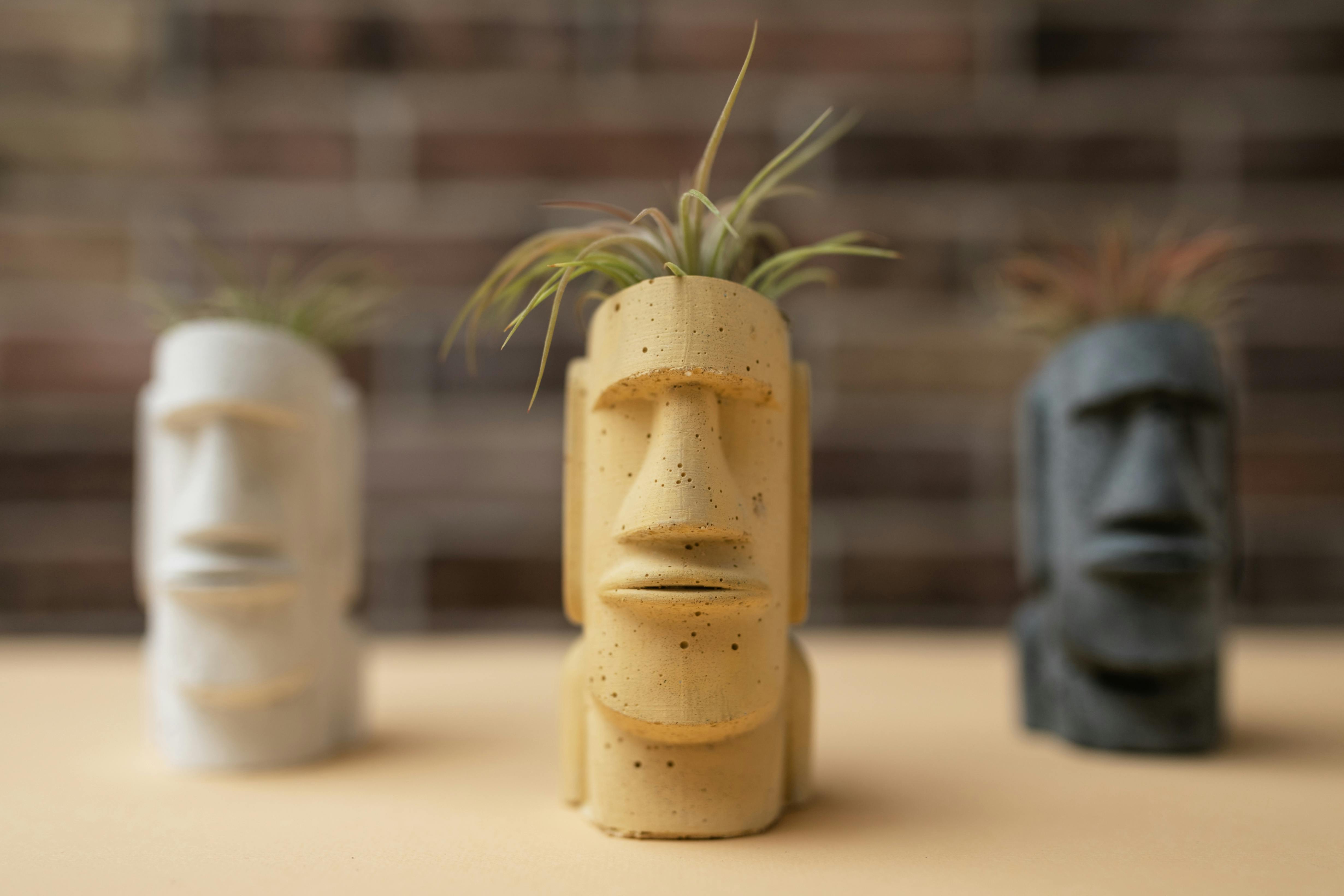 Face Pots Photos, Download The BEST Free Face Pots Stock Photos & HD Images