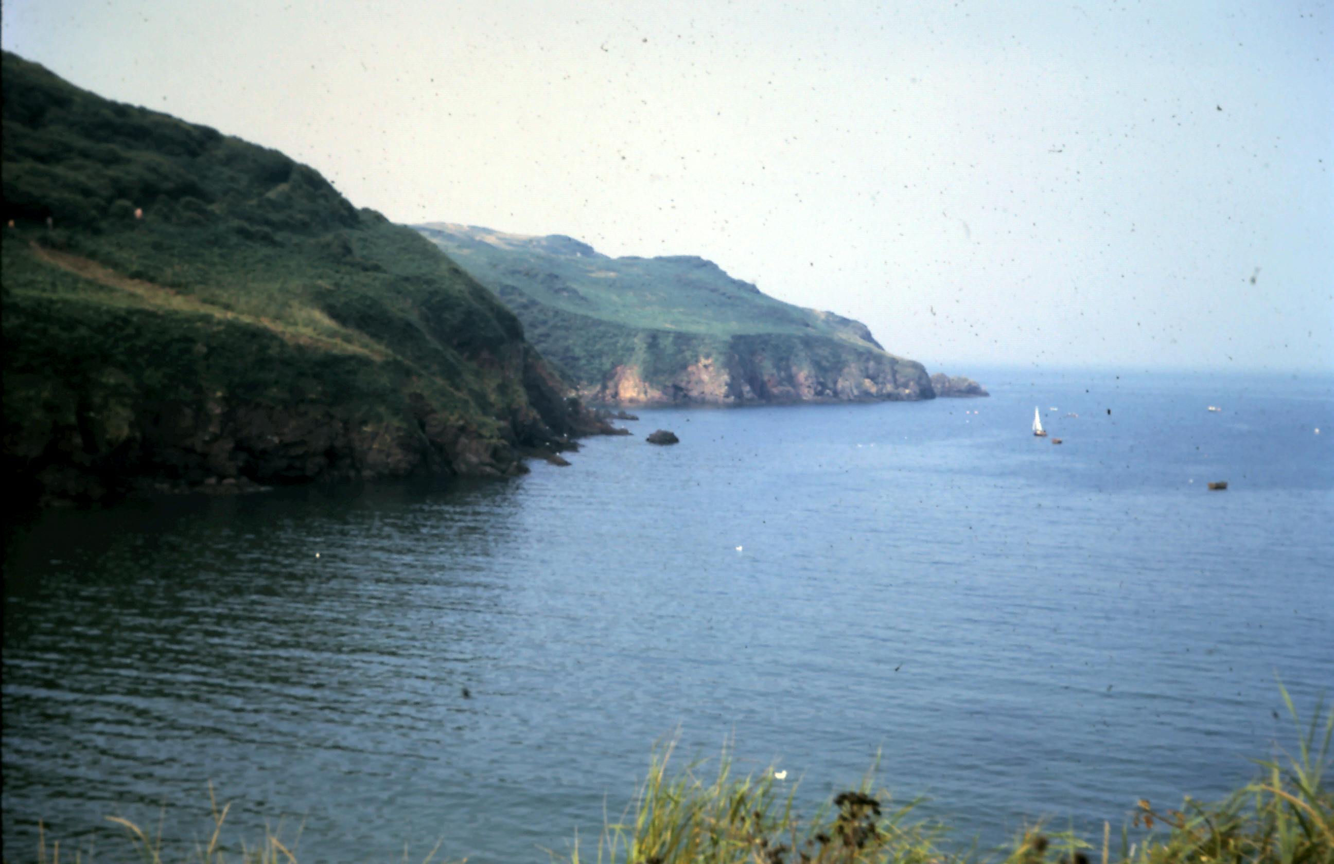 Film Photograph of a Coast with Cliffs · Free Stock Photo