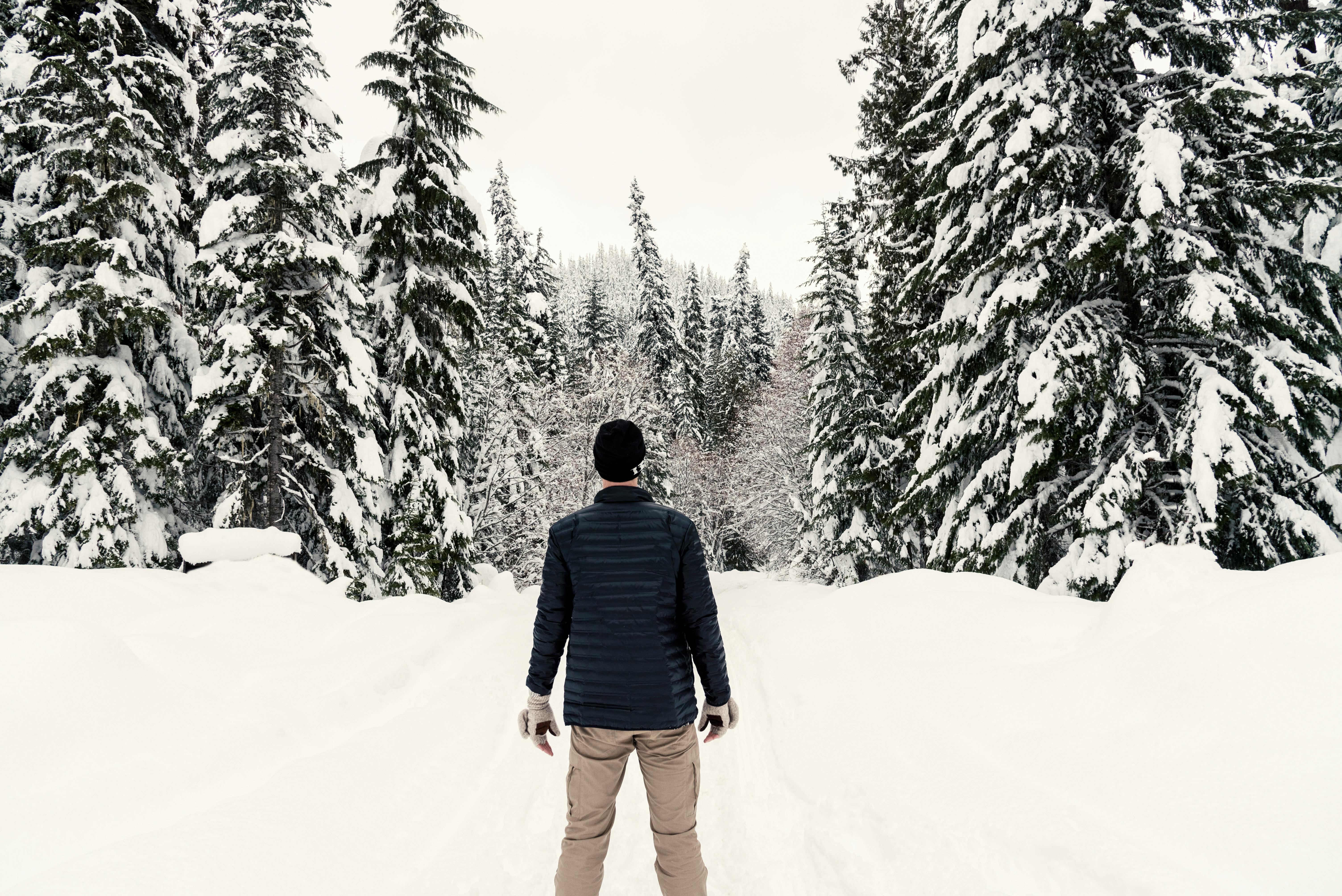 Photo of a Man in the Snowy Forest · Free Stock Photo