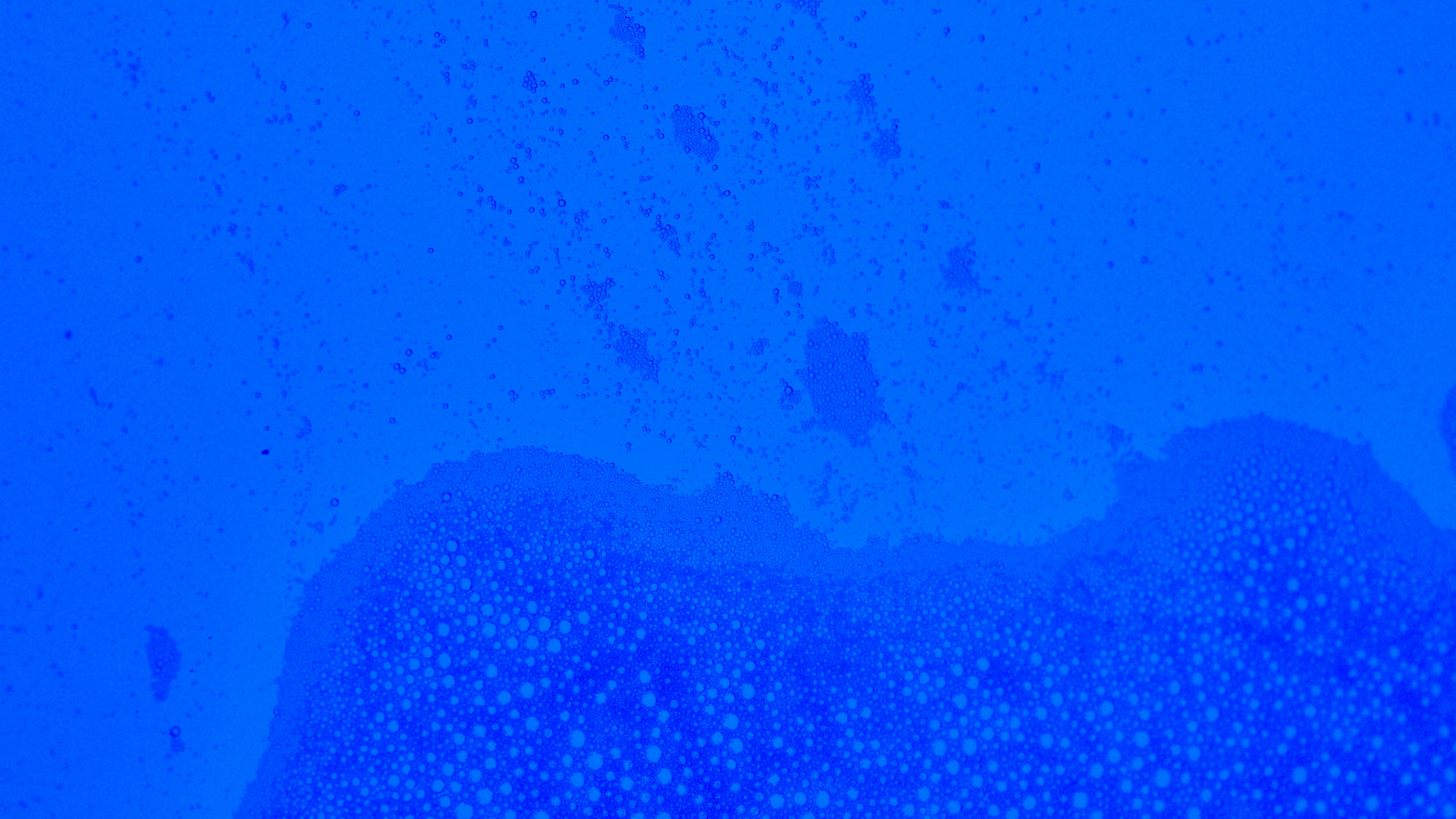 Close-Up Photo of Blue Bubbles · Free Stock Photo