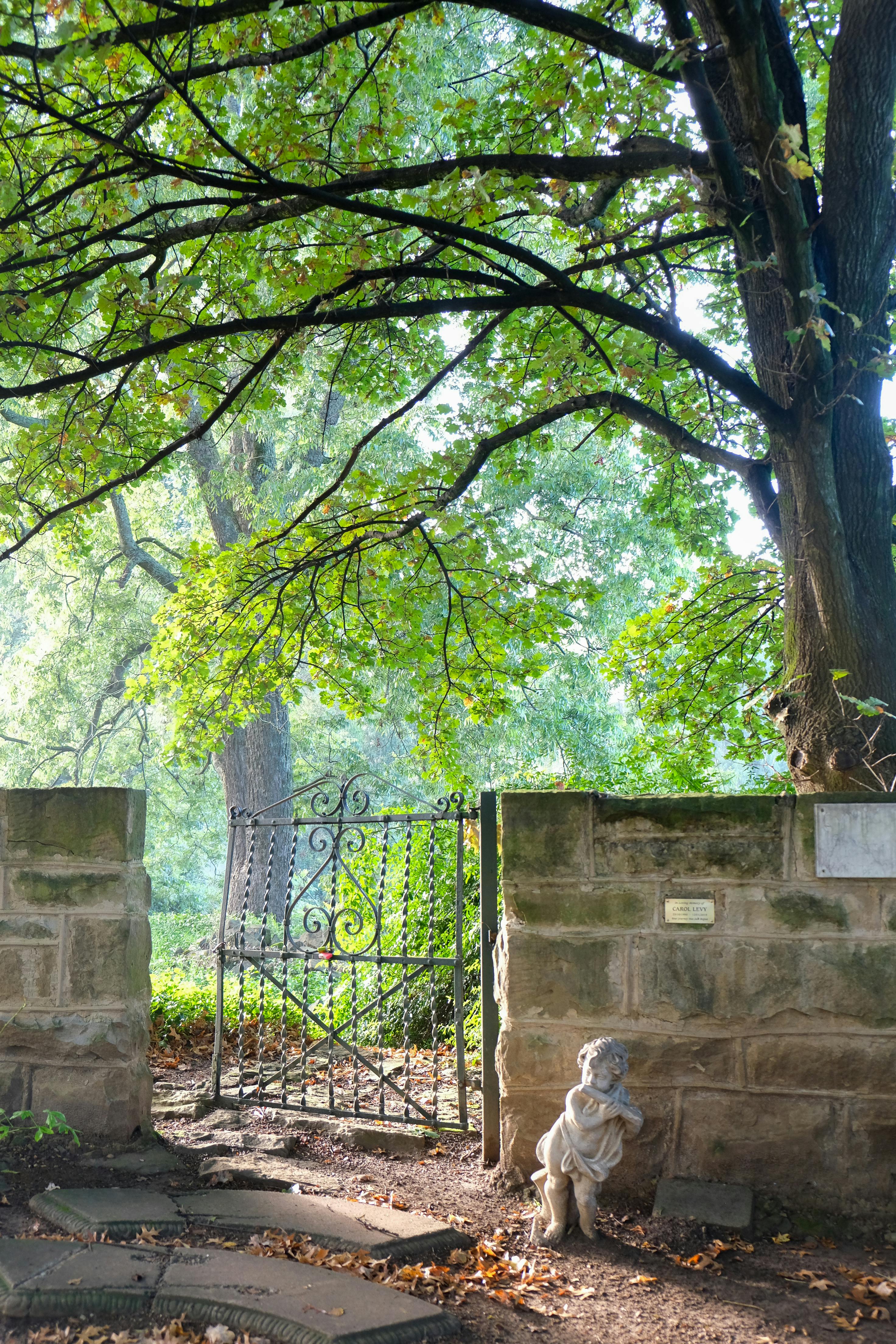 Photo of a Gray Gate Under a Tree with Green Leaves · Free Stock Photo