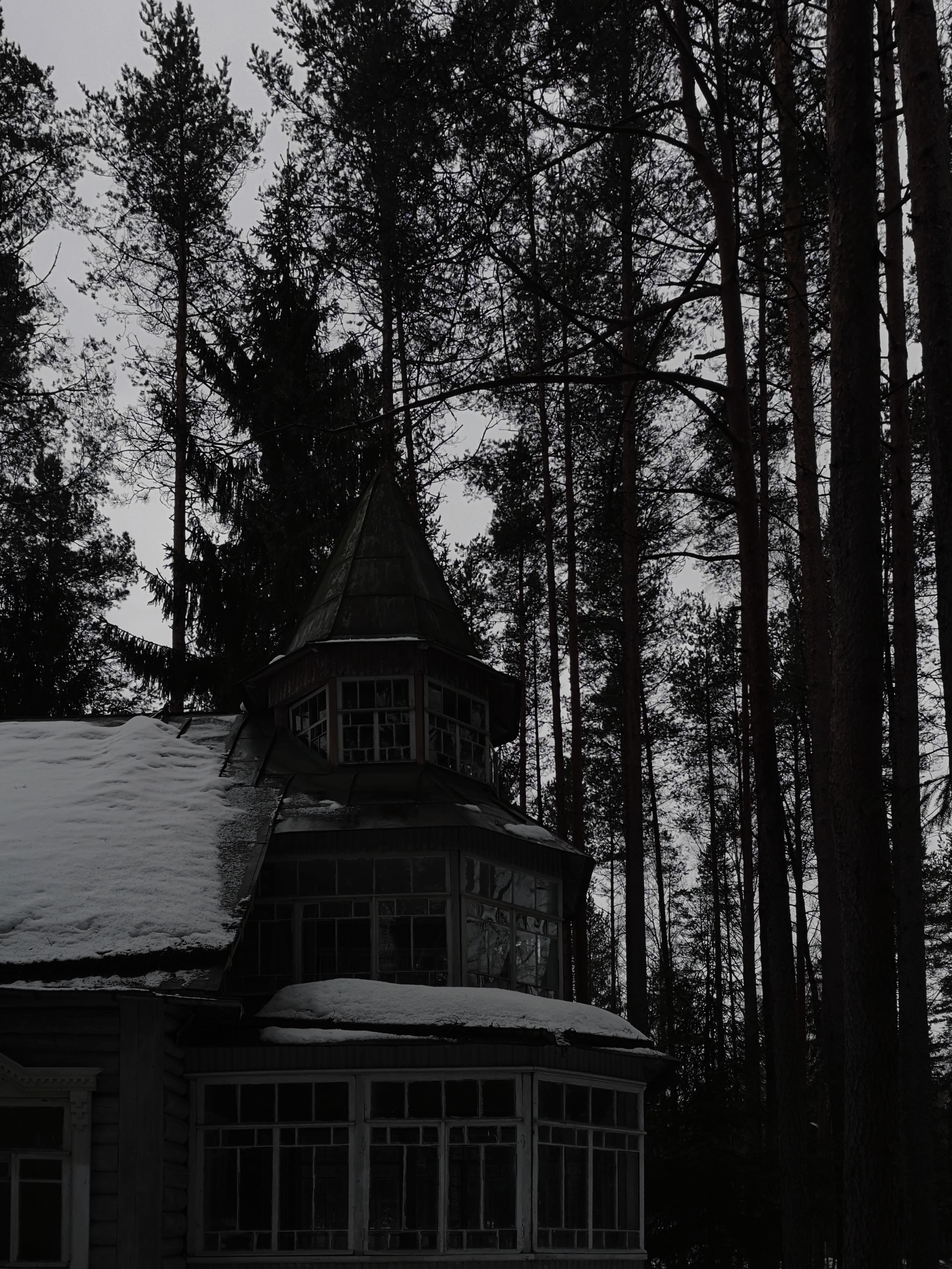 Residential building placed in forest in daytime · Free Stock Photo