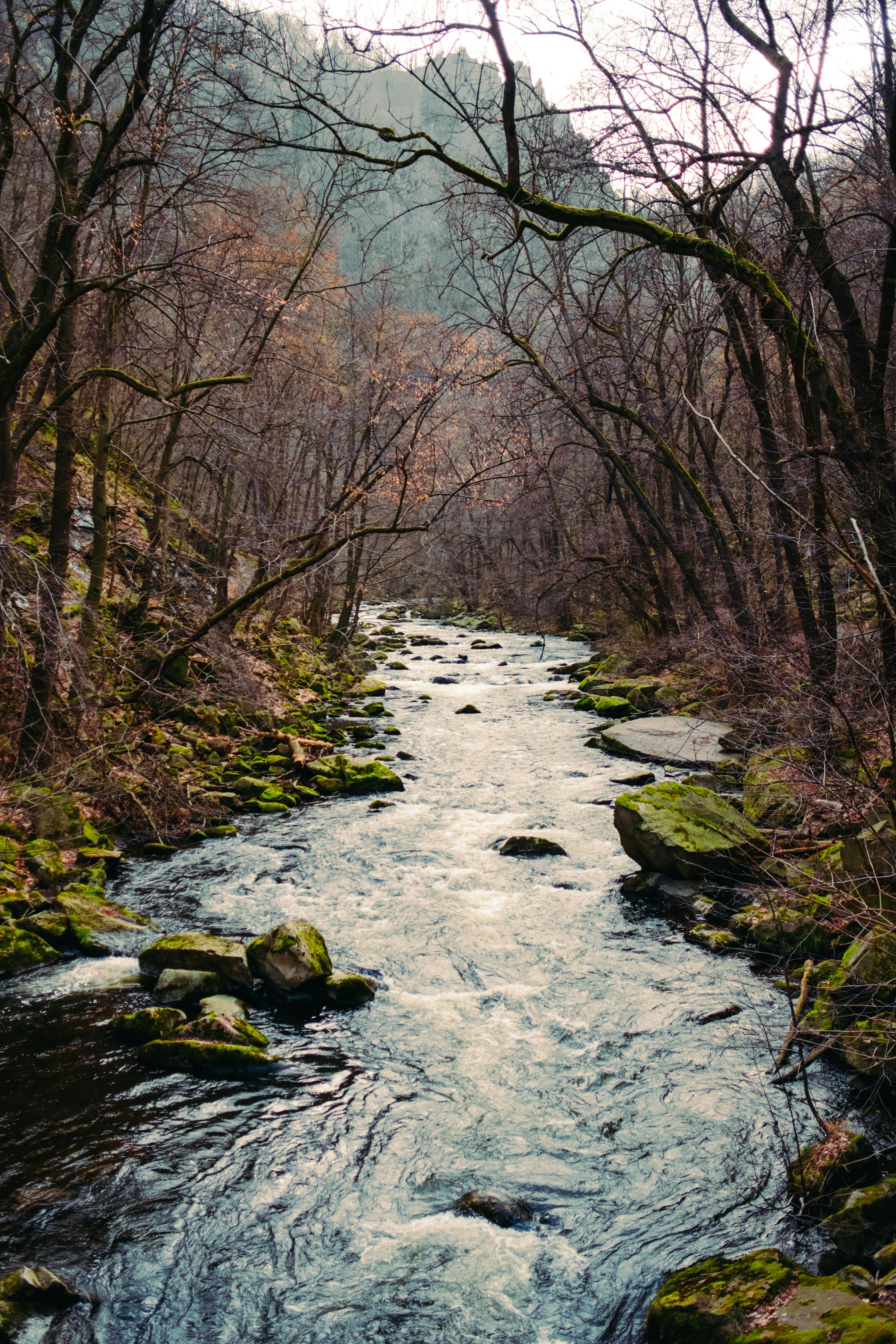 Photo of a River · Free Stock Photo