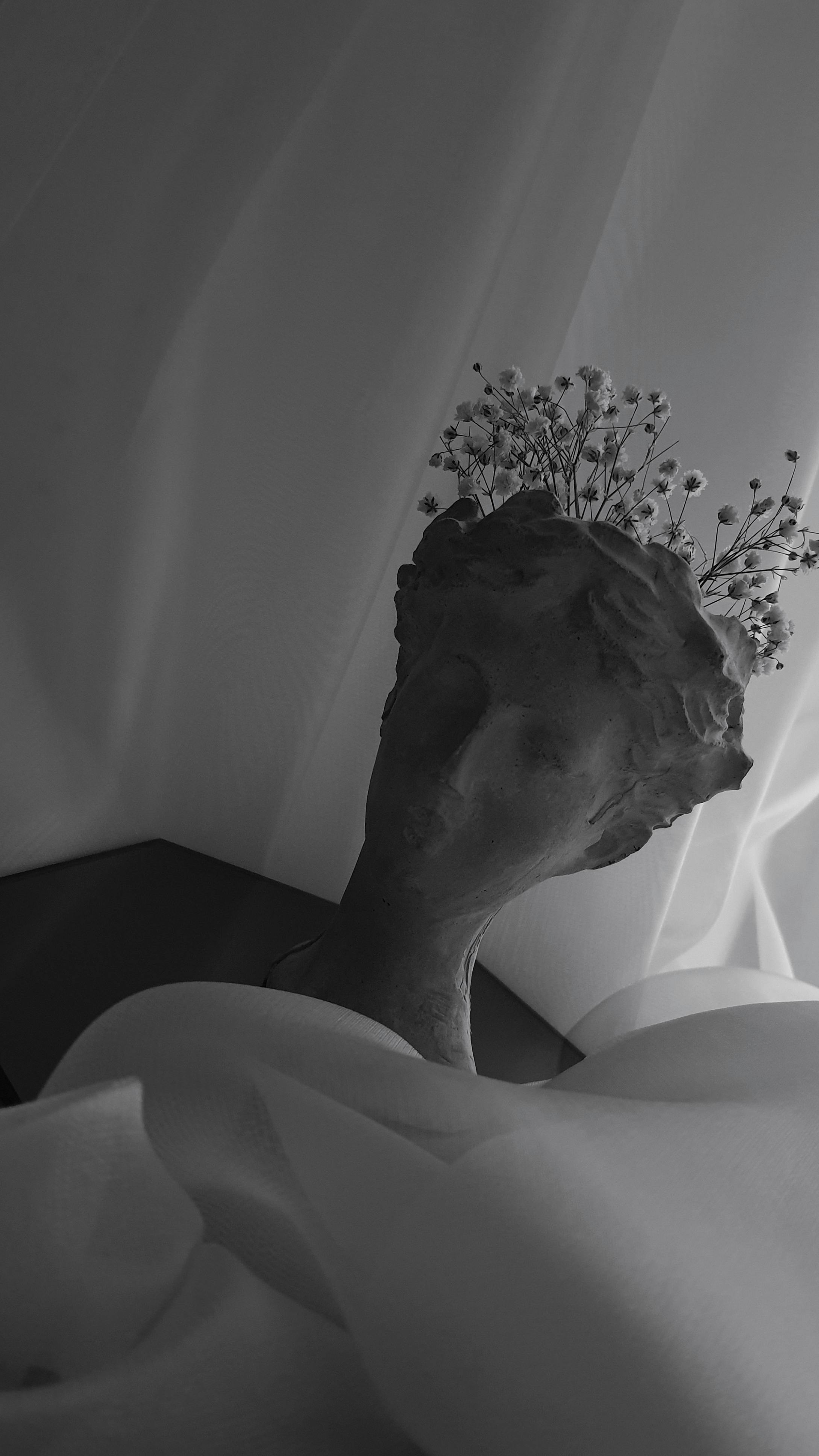 Bust Statue in Mirror · Free Stock Photo