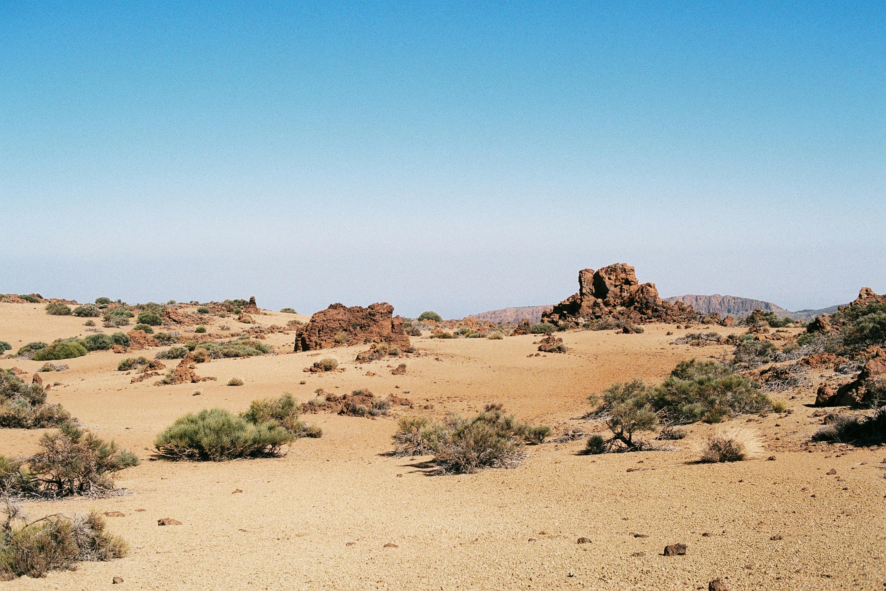 Desert Landscape with Bushes and Rock Formation in the Distance · Free ...