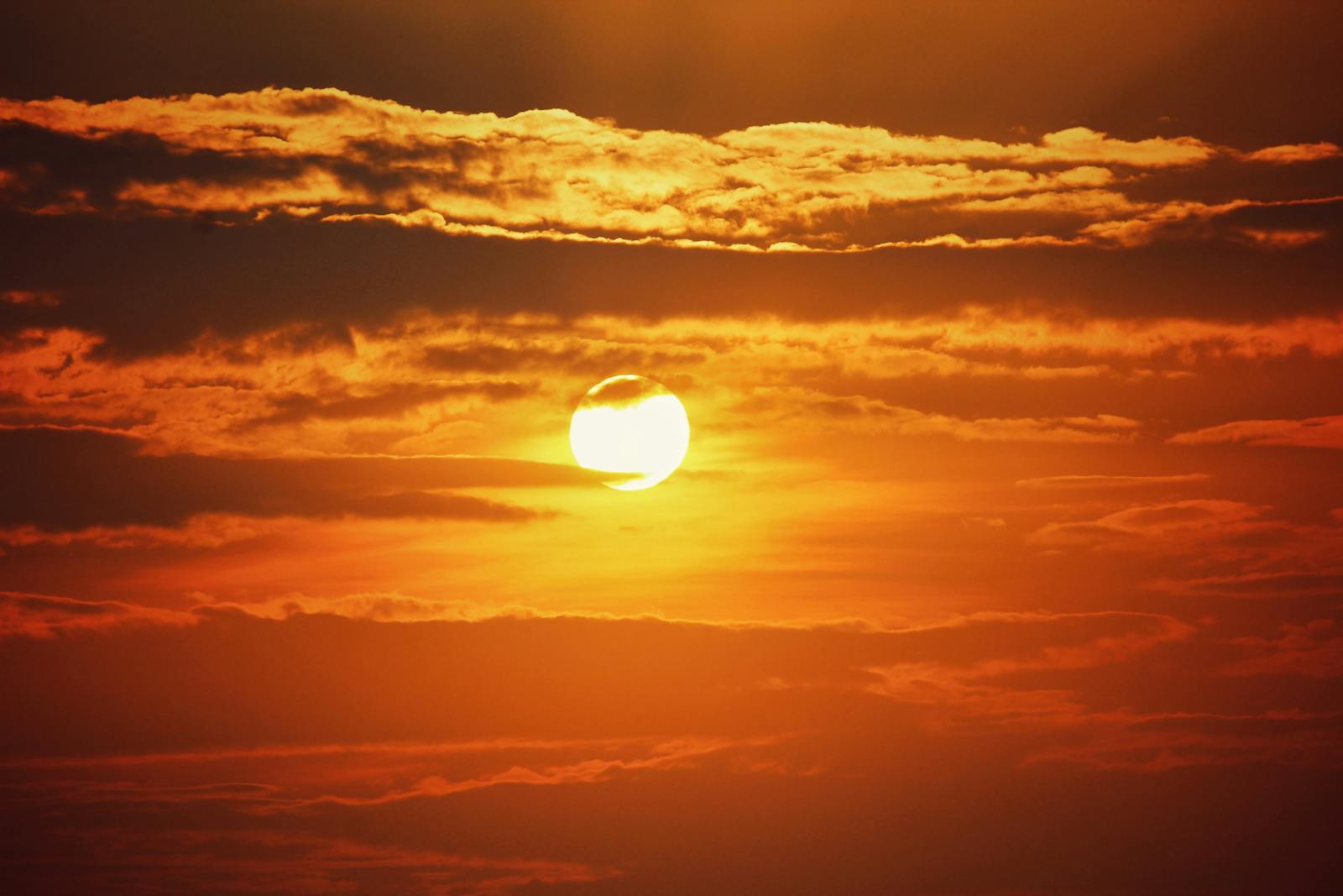 40,000+张最精彩的“Sun”图片 · 100%免费下载 · Pexels素材图片