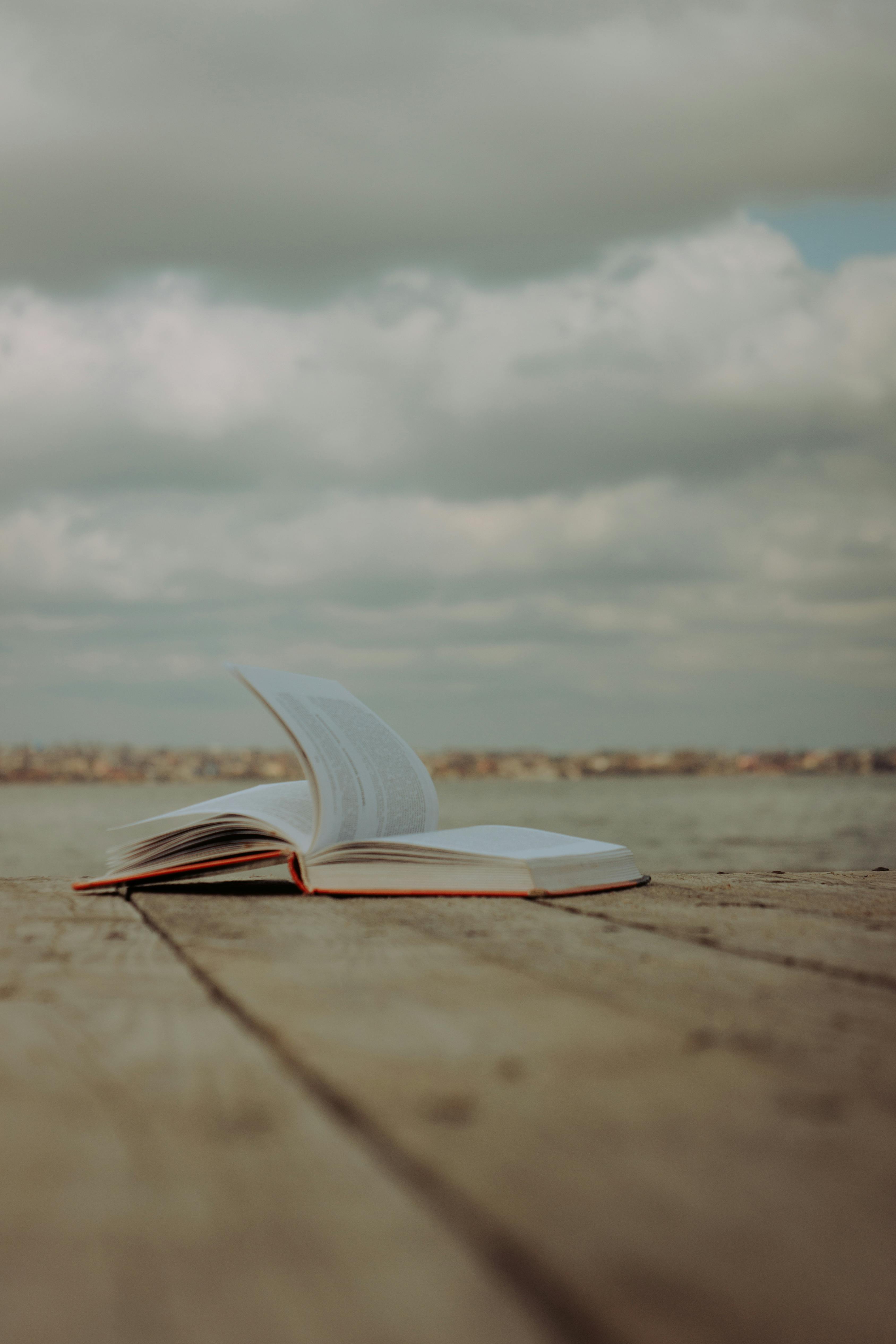 Moody Book Photos, Download The BEST Free Moody Book Stock Photos & HD ...