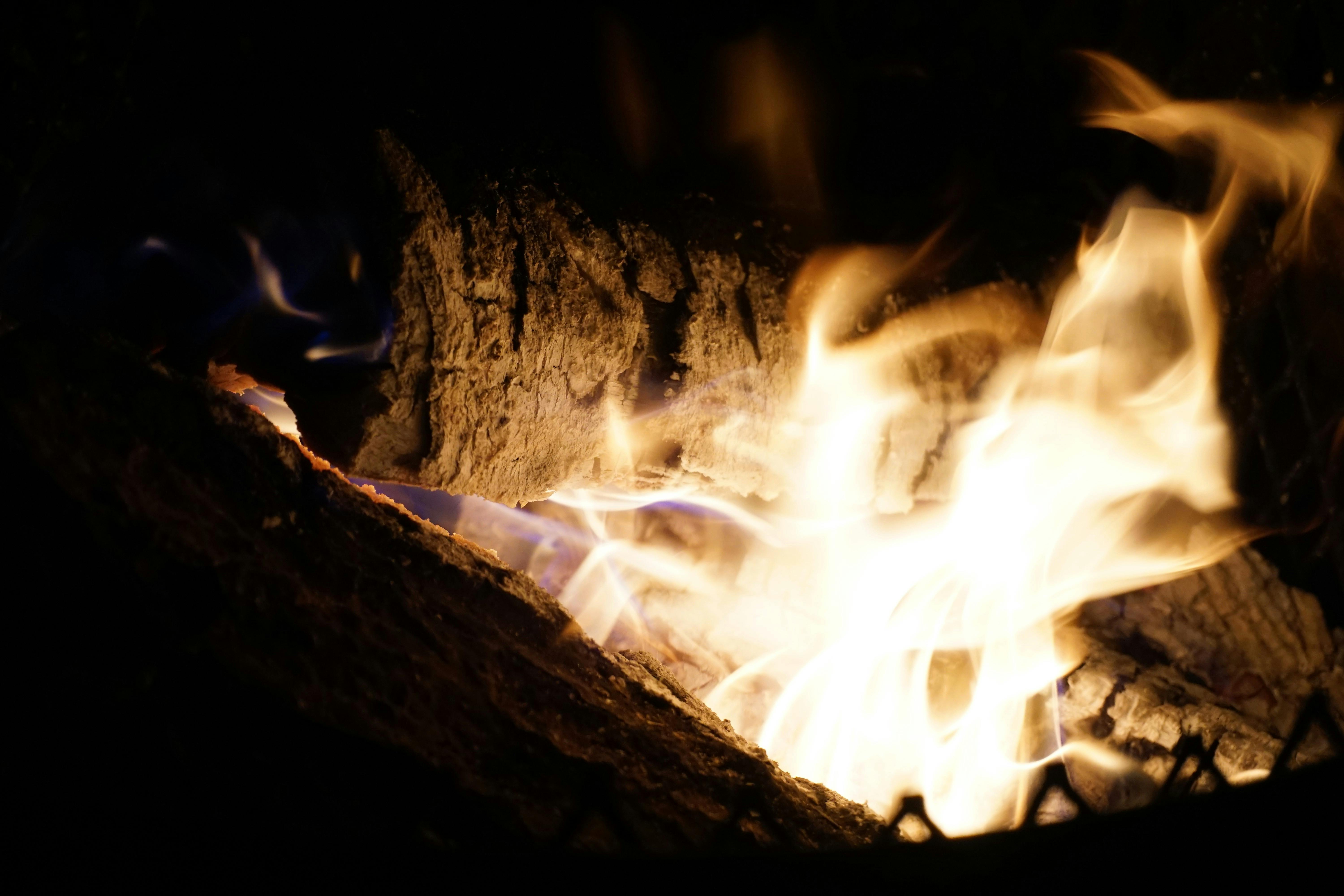Free stock photo of bonfire, close-up, fire