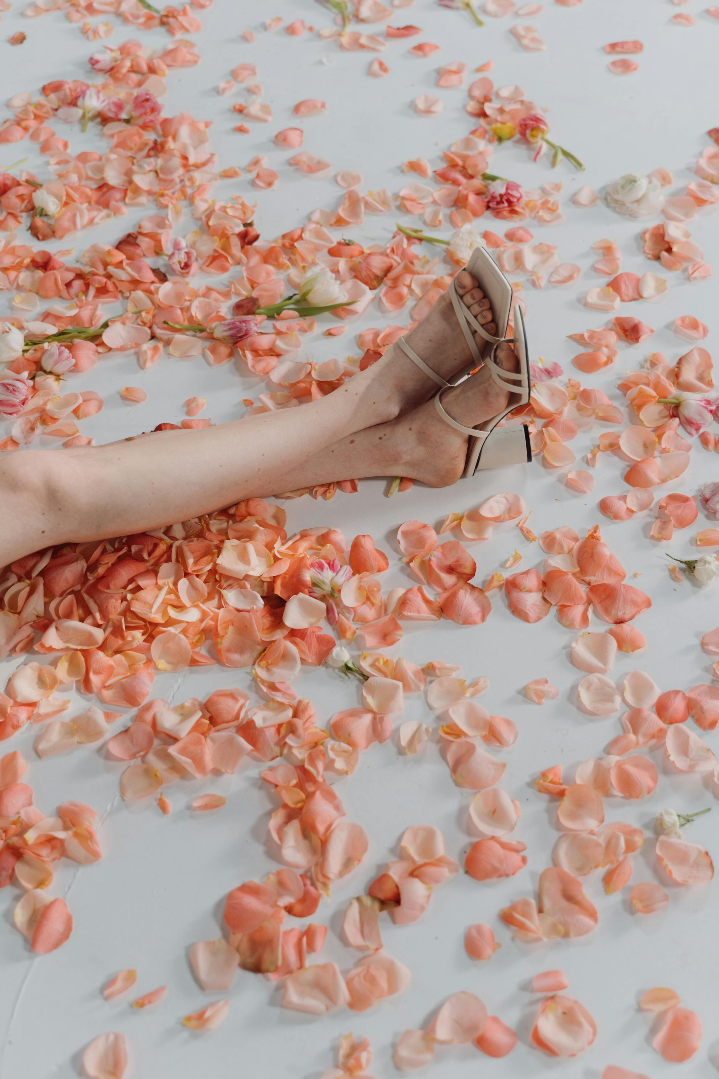 Scattered Photos, Download The BEST Free Scattered Stock Photos & HD Images