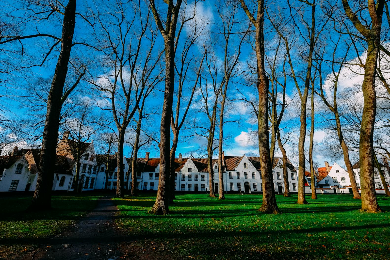 Unlocking Architectural Sun Diagrams: A Comprehensive Guide