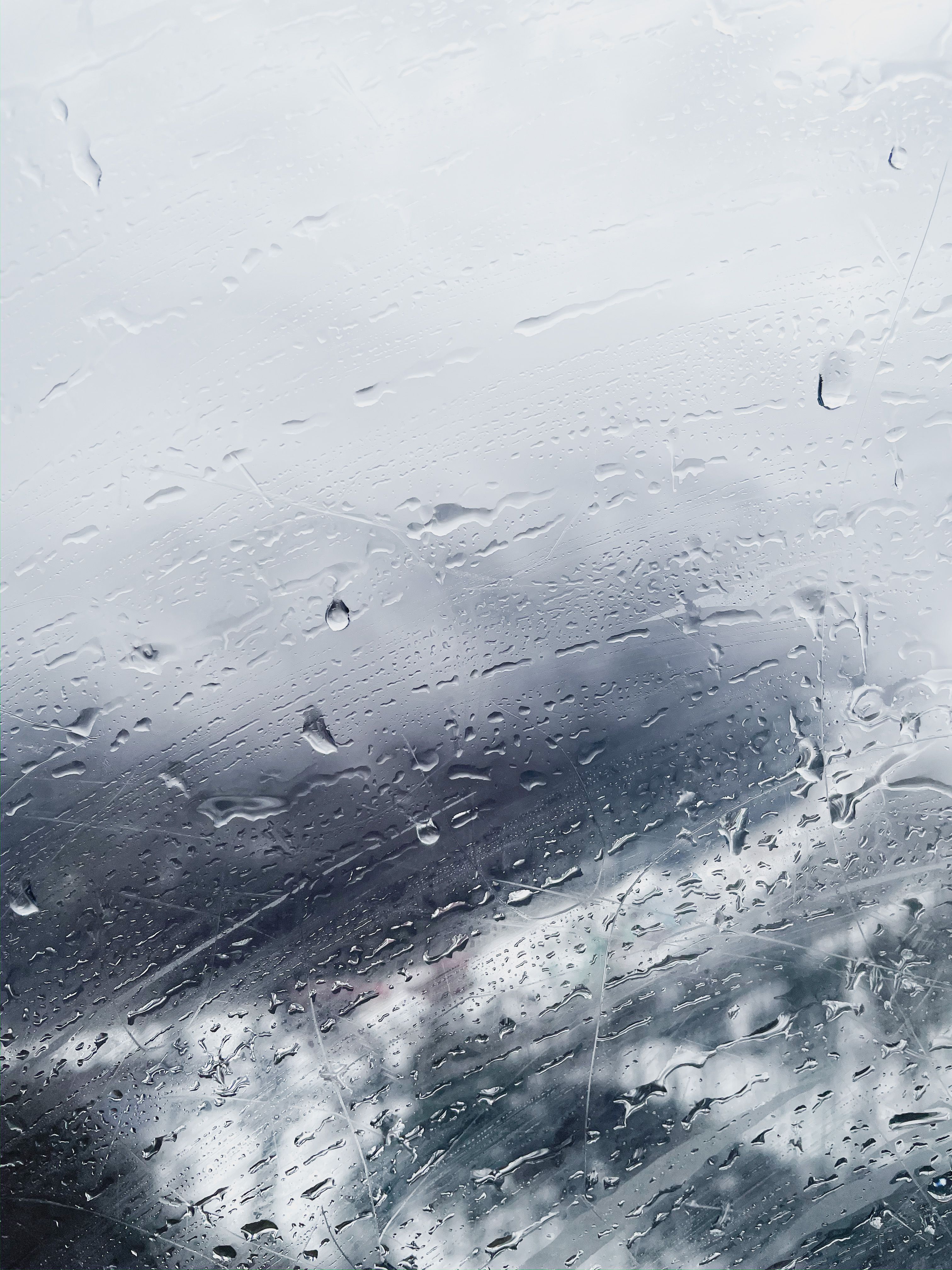 Forest Rain Photos, Download The BEST Free Forest Rain Stock Photos ...