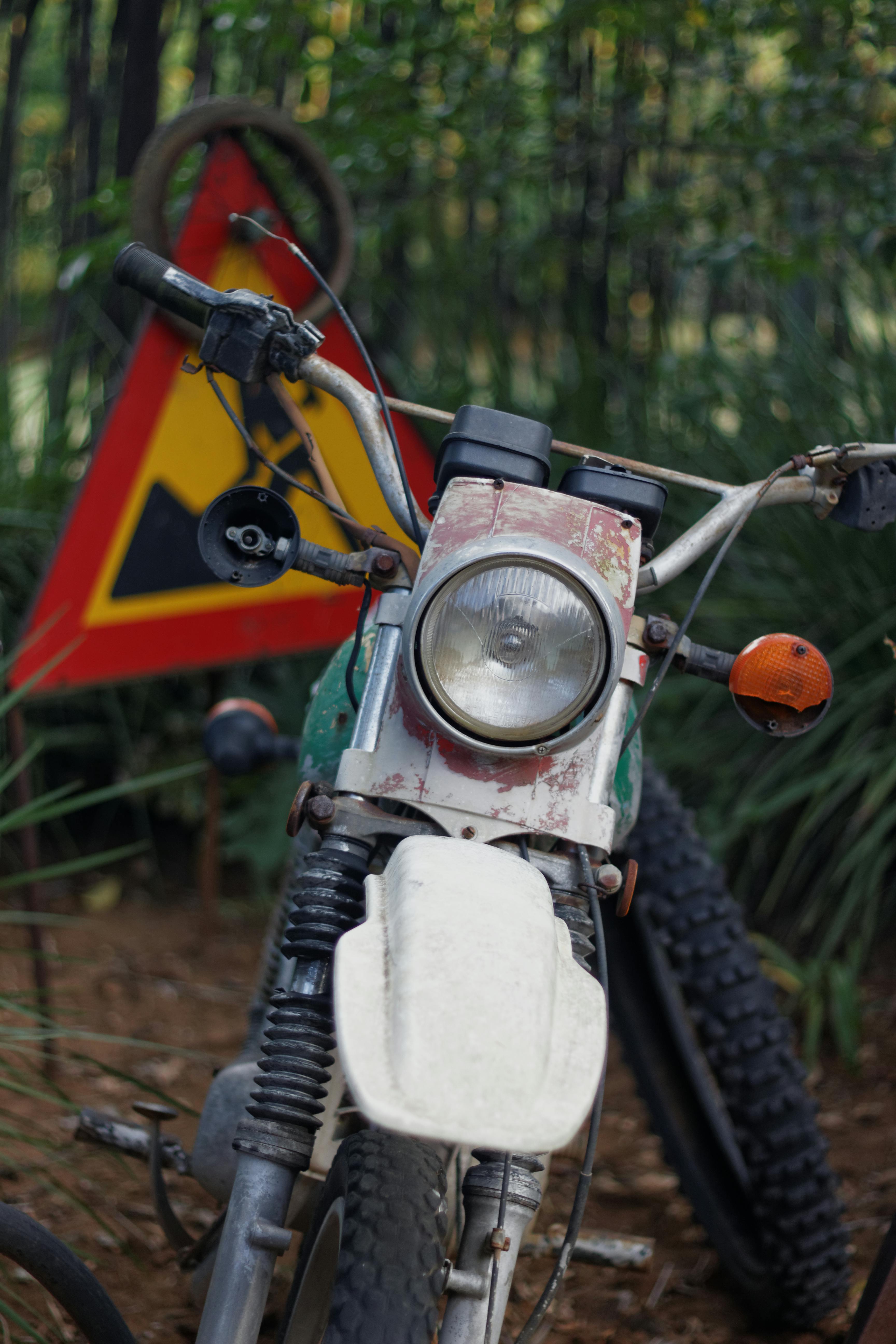 Motorcycle in Trees · Free Stock Photo
