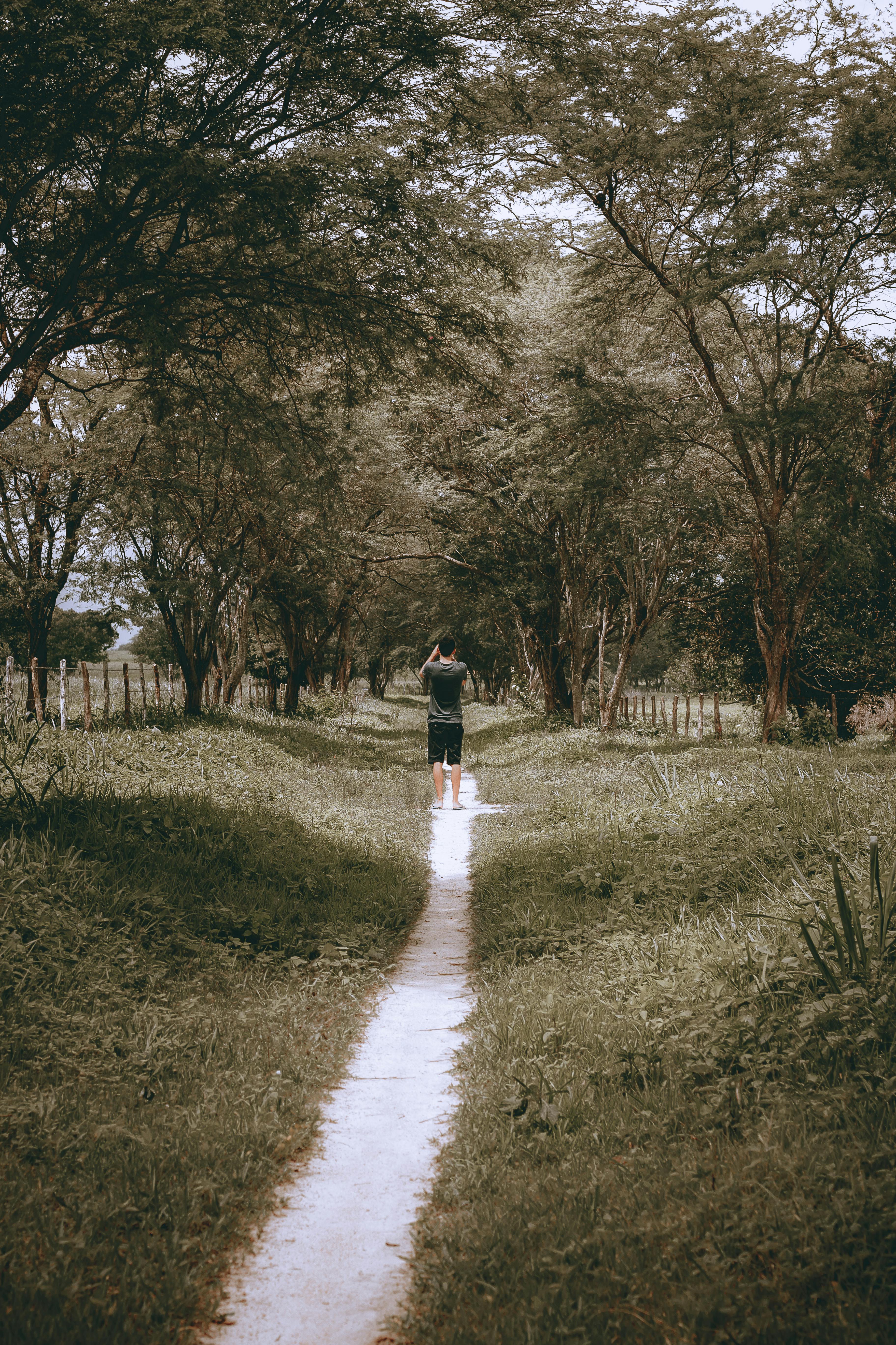 Man Standing on Path in Forest · Free Stock Photo